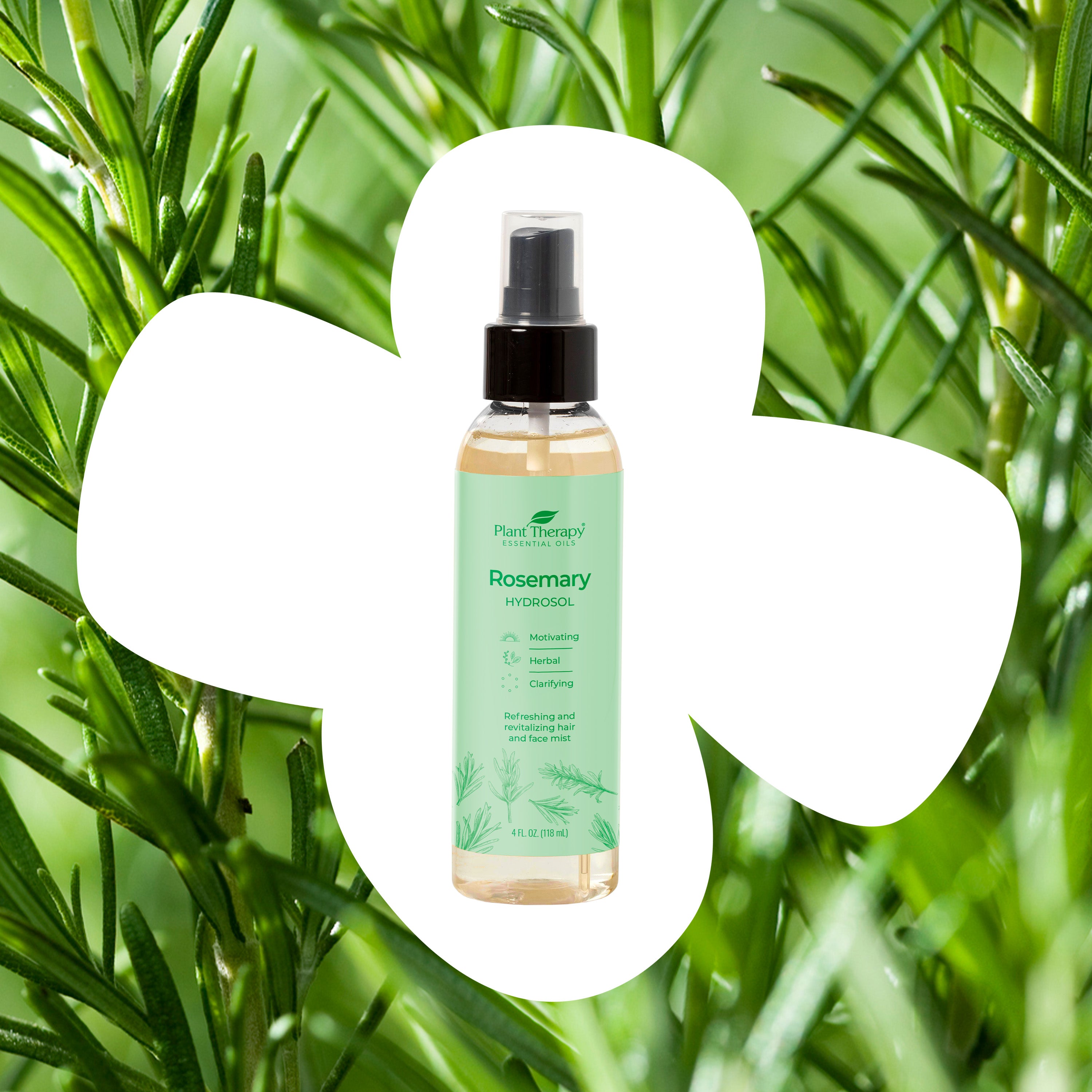 Rosemary Hydrosol – Plant Therapy