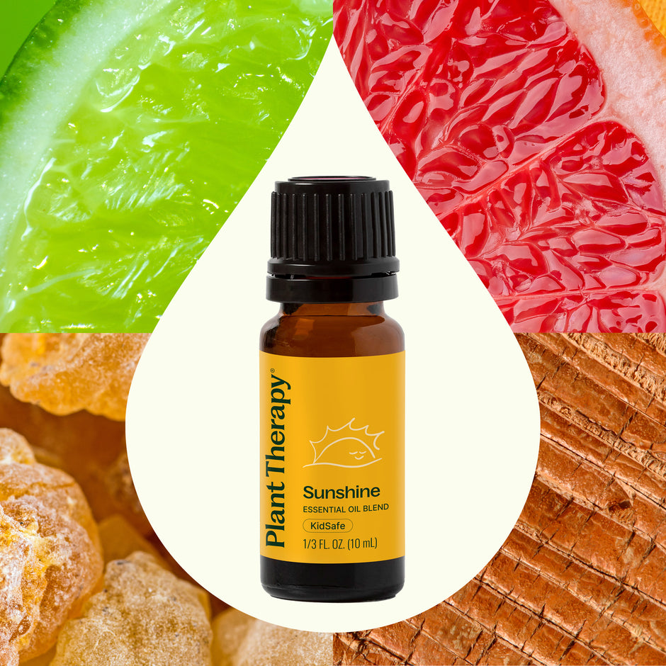 Seasonal Favorites – Plant Therapy