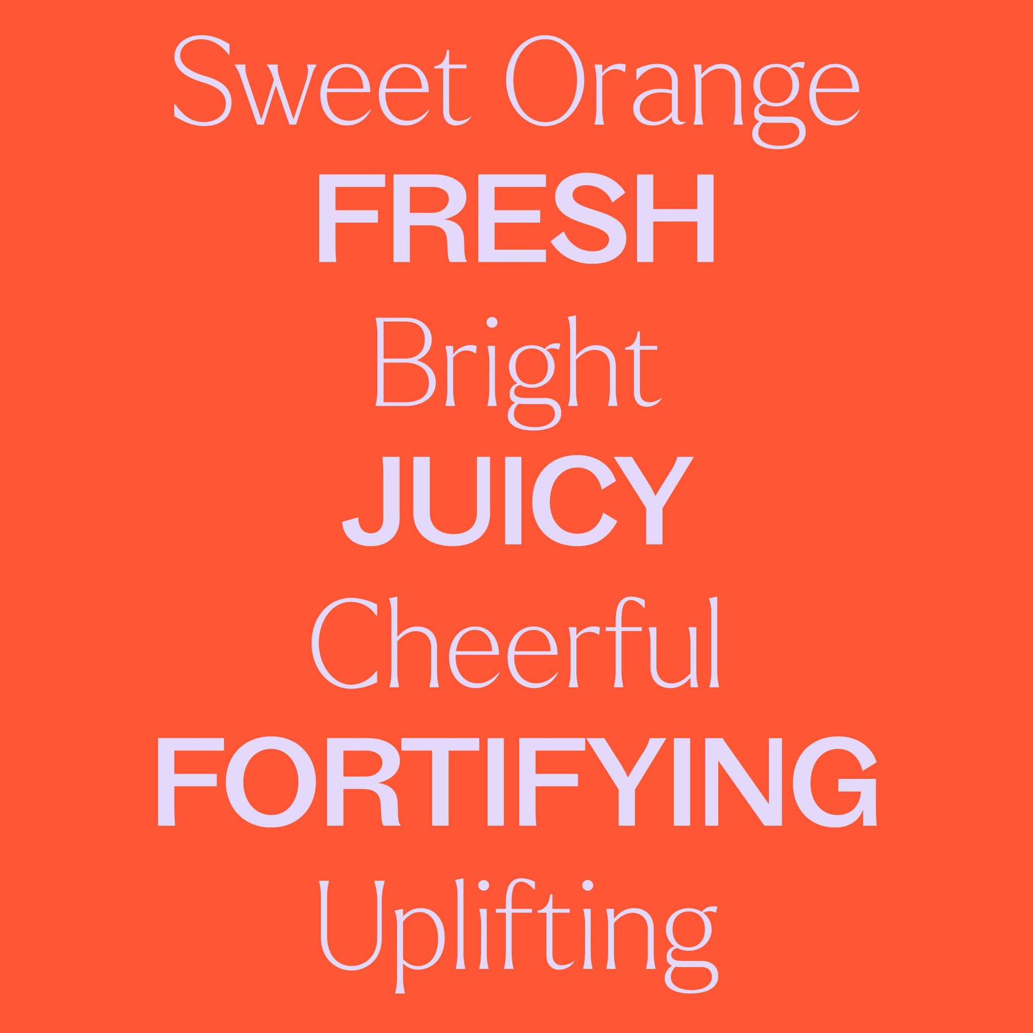Sweet Orange Body Oil – Plant Therapy
