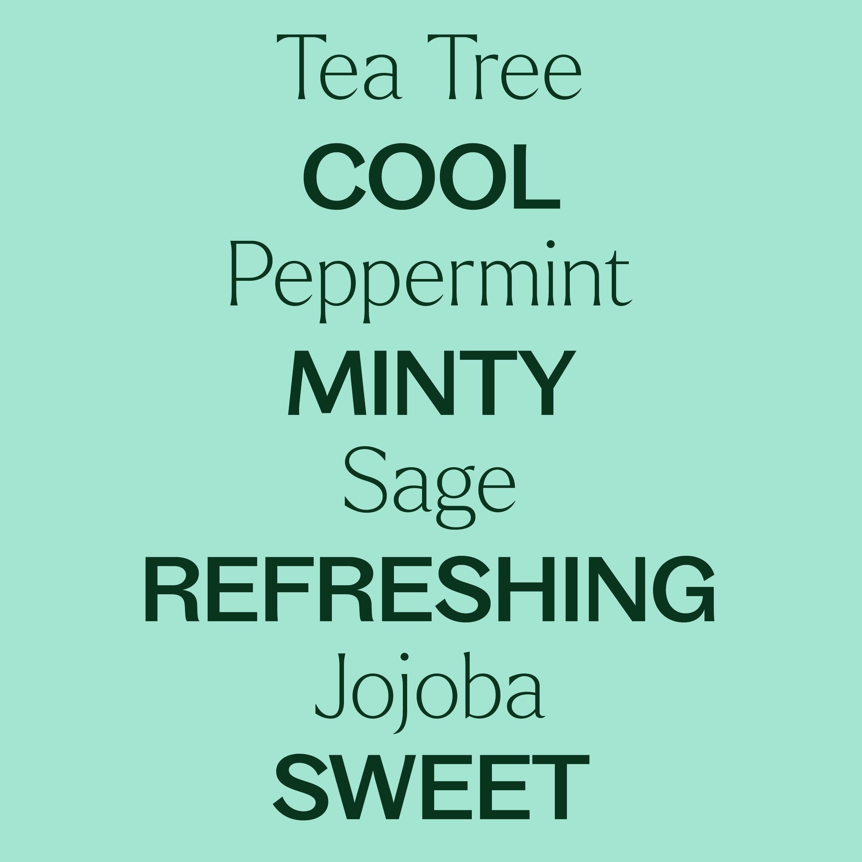 Tea Tree & Peppermint Body Wash – Plant Therapy