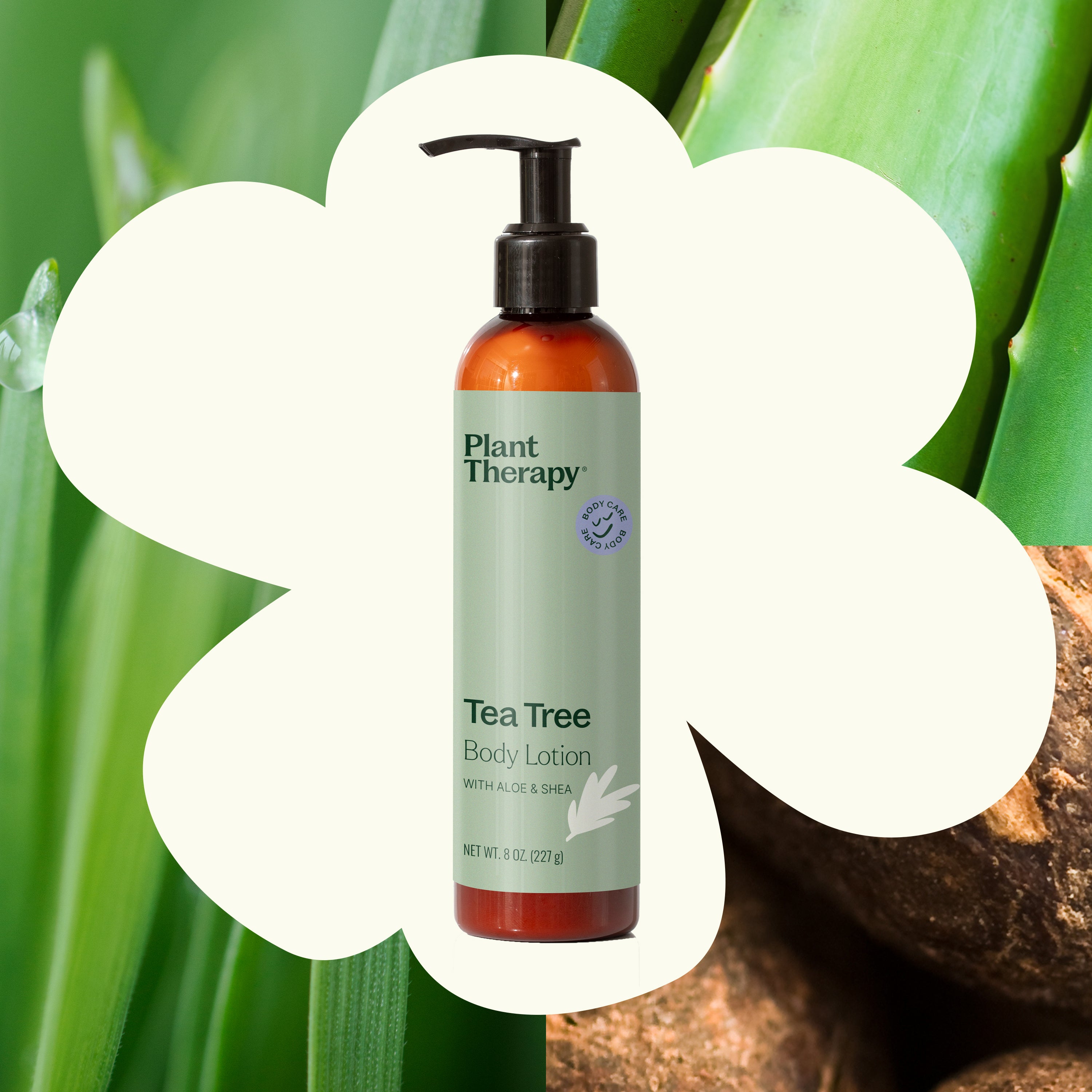 Tea Tree Body Lotion with Aloe and Shea – Plant Therapy