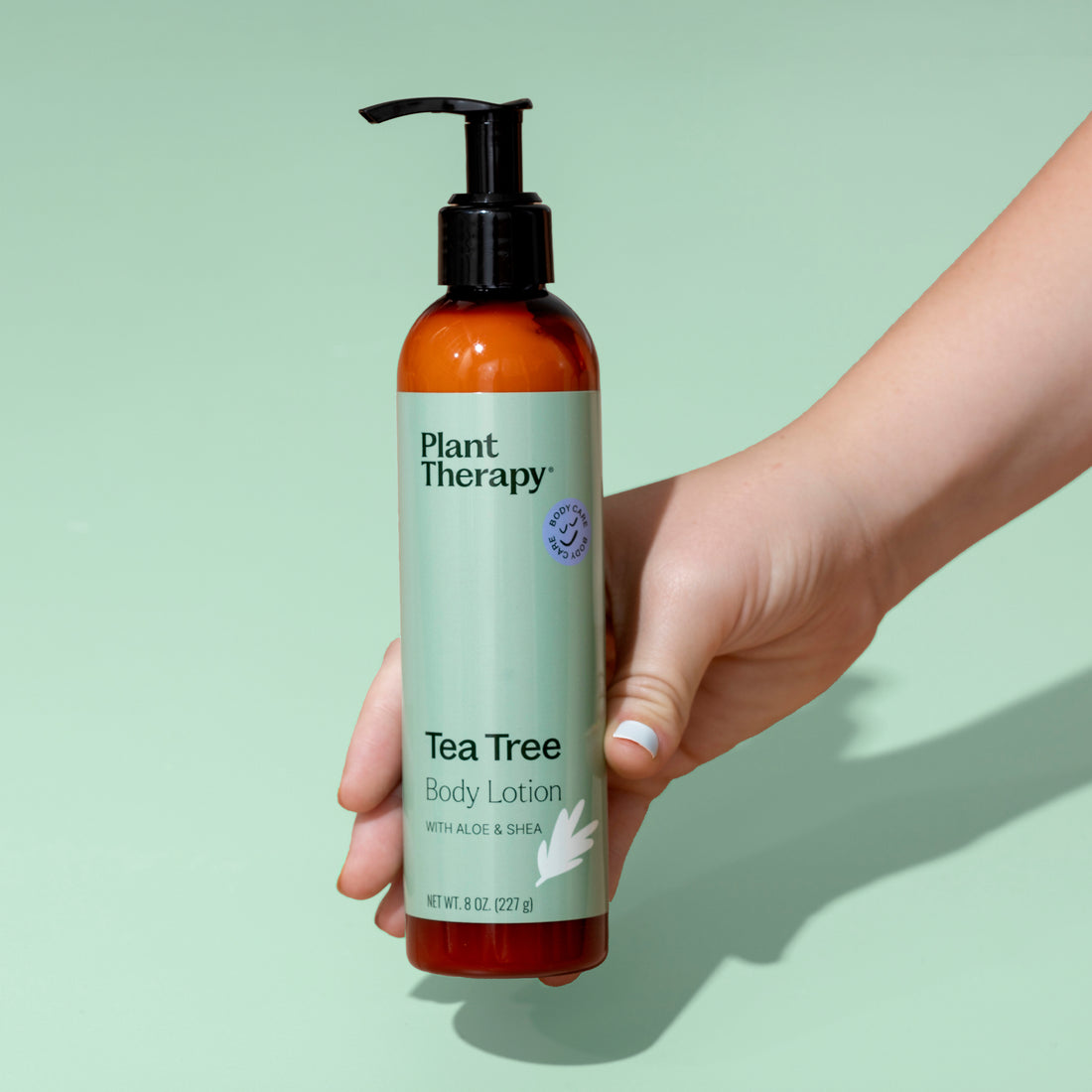 Tea Tree Body Lotion with Aloe and Shea – Plant Therapy