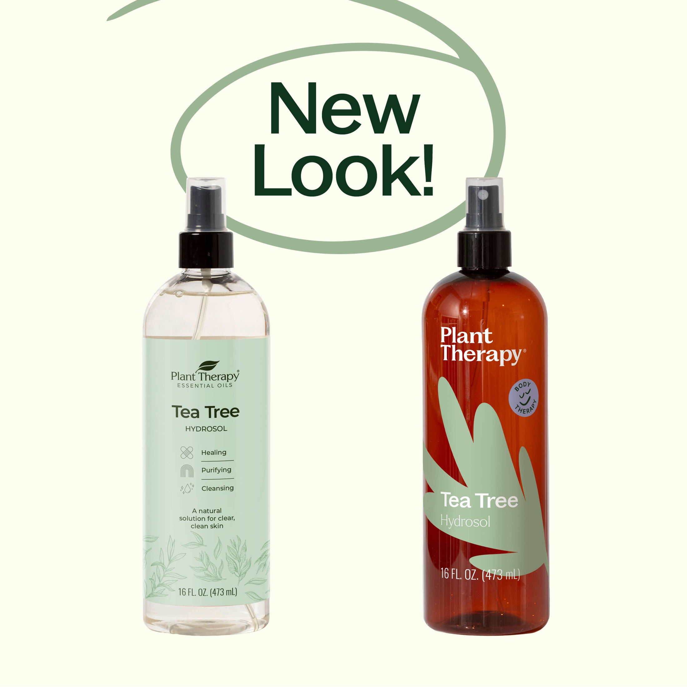 Tea Tree Hydrosol – Plant Therapy