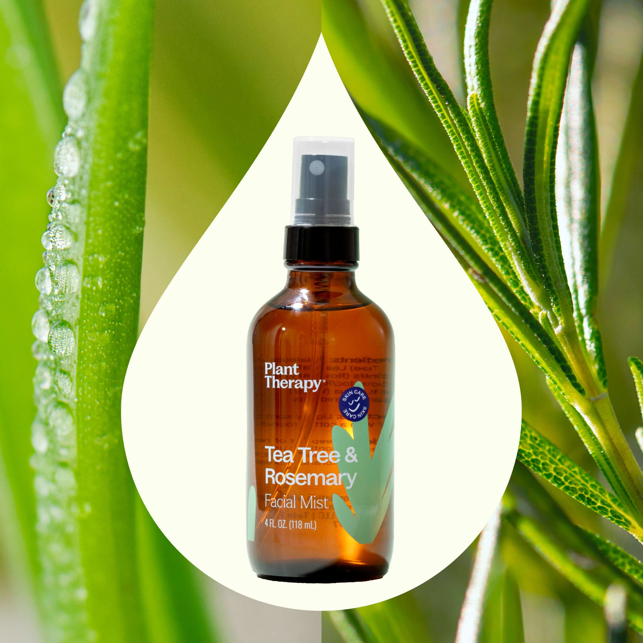 Tea Tree & Rosemary Facial Mist – Plant Therapy