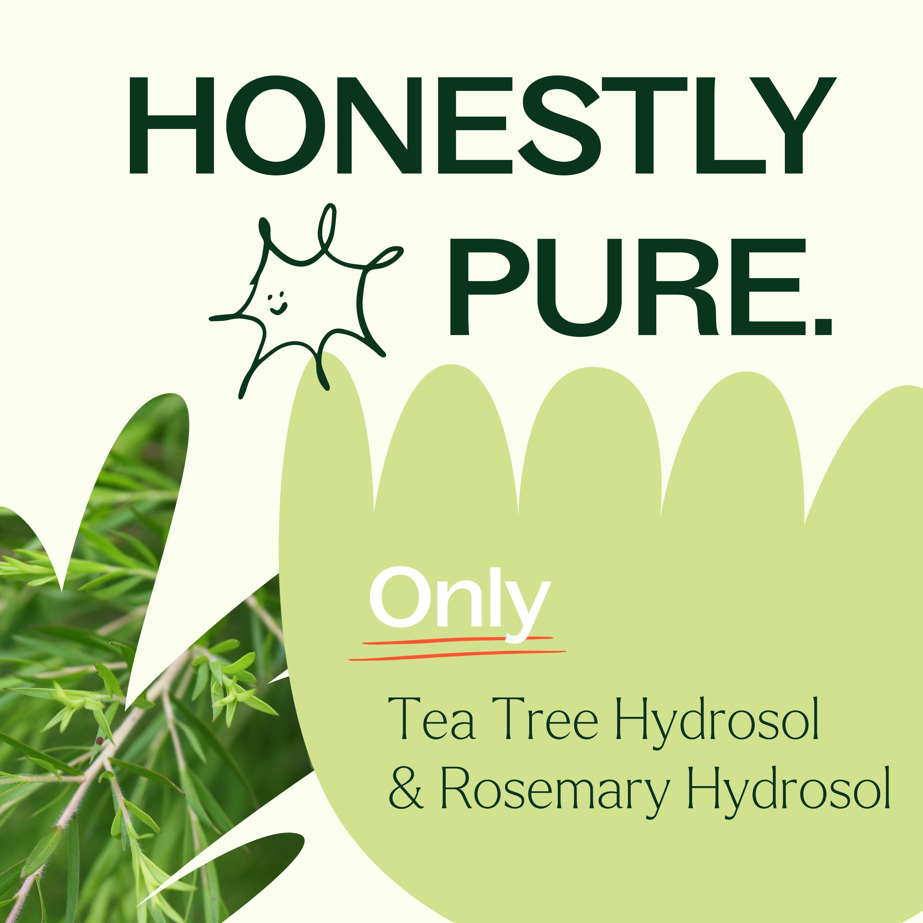 Tea Tree & Rosemary Toner Mist – Plant Therapy