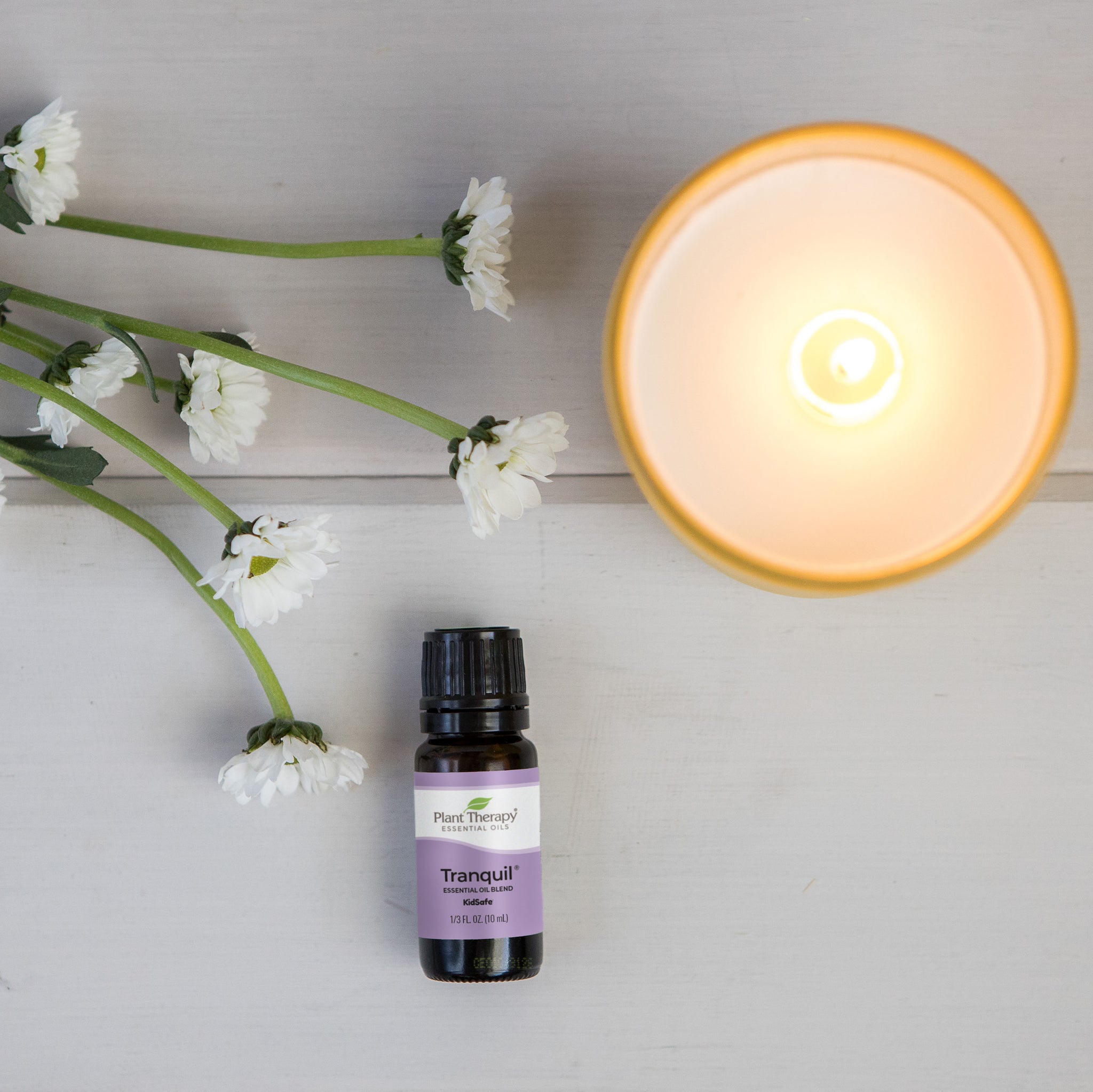 Tranquil ®️ Essential Oil Blend – Plant Therapy