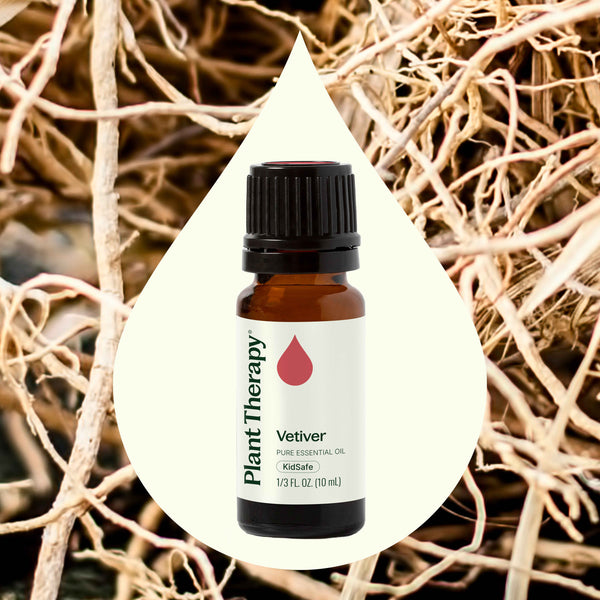 Vetiver Essential Oil – Plant Therapy