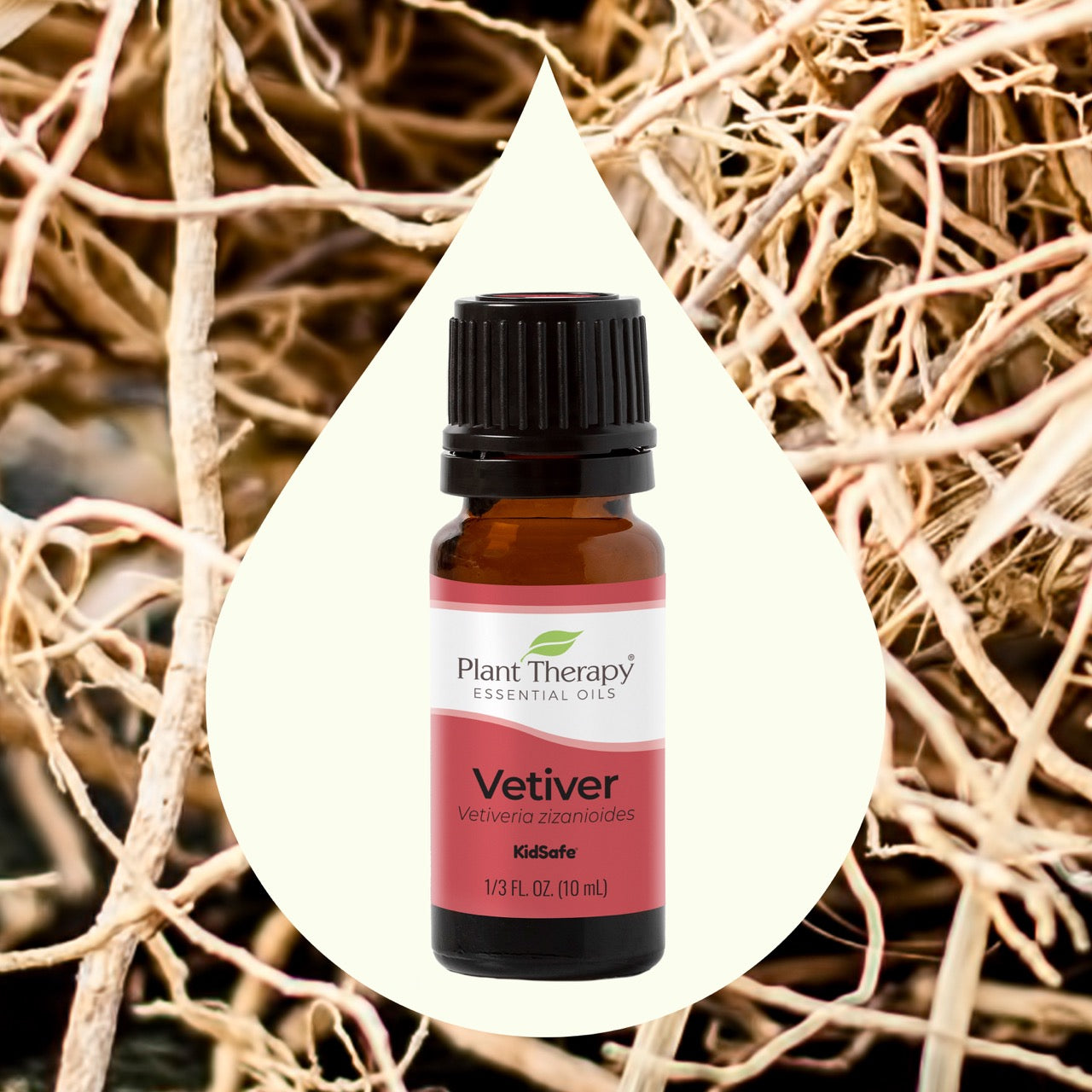 Vetiver Essential Oil – Plant Therapy