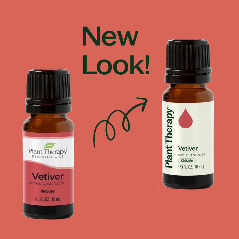 Vetiver Essential Oil – Plant Therapy