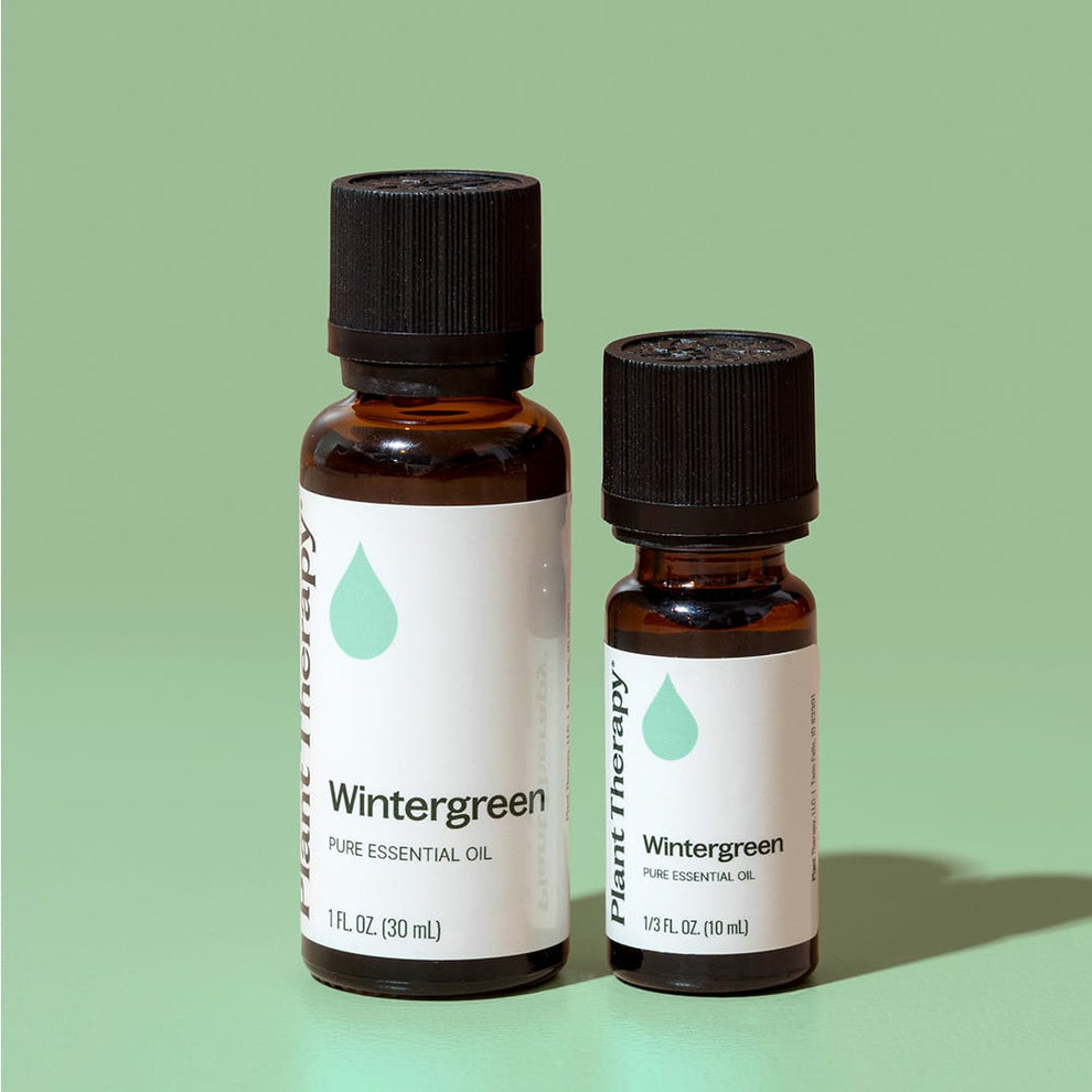 Wintergreen Essential Oil – Plant Therapy