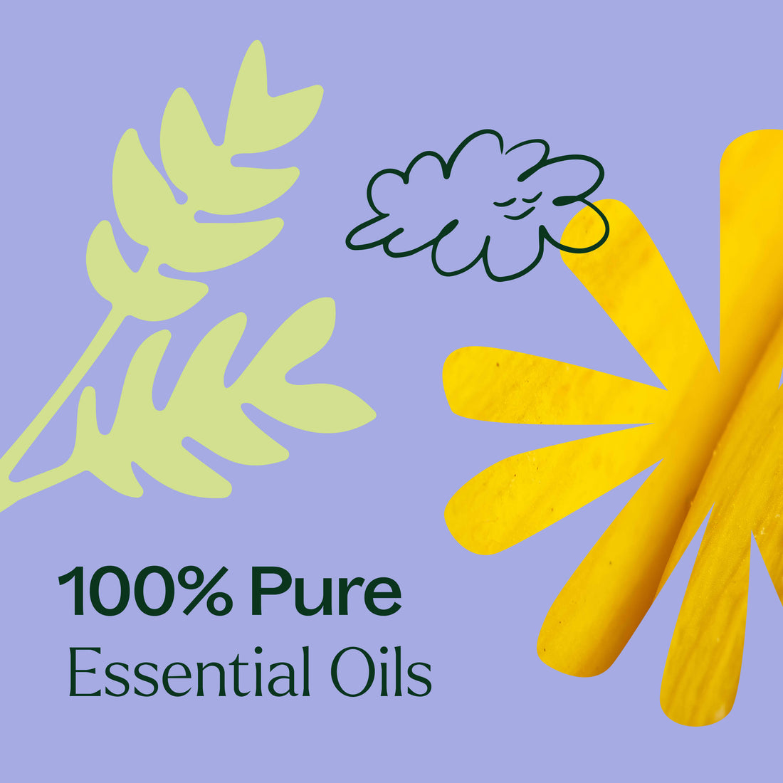 Worry Free™ Essential Oil Blend Pre-Diluted Roll-On – Plant Therapy