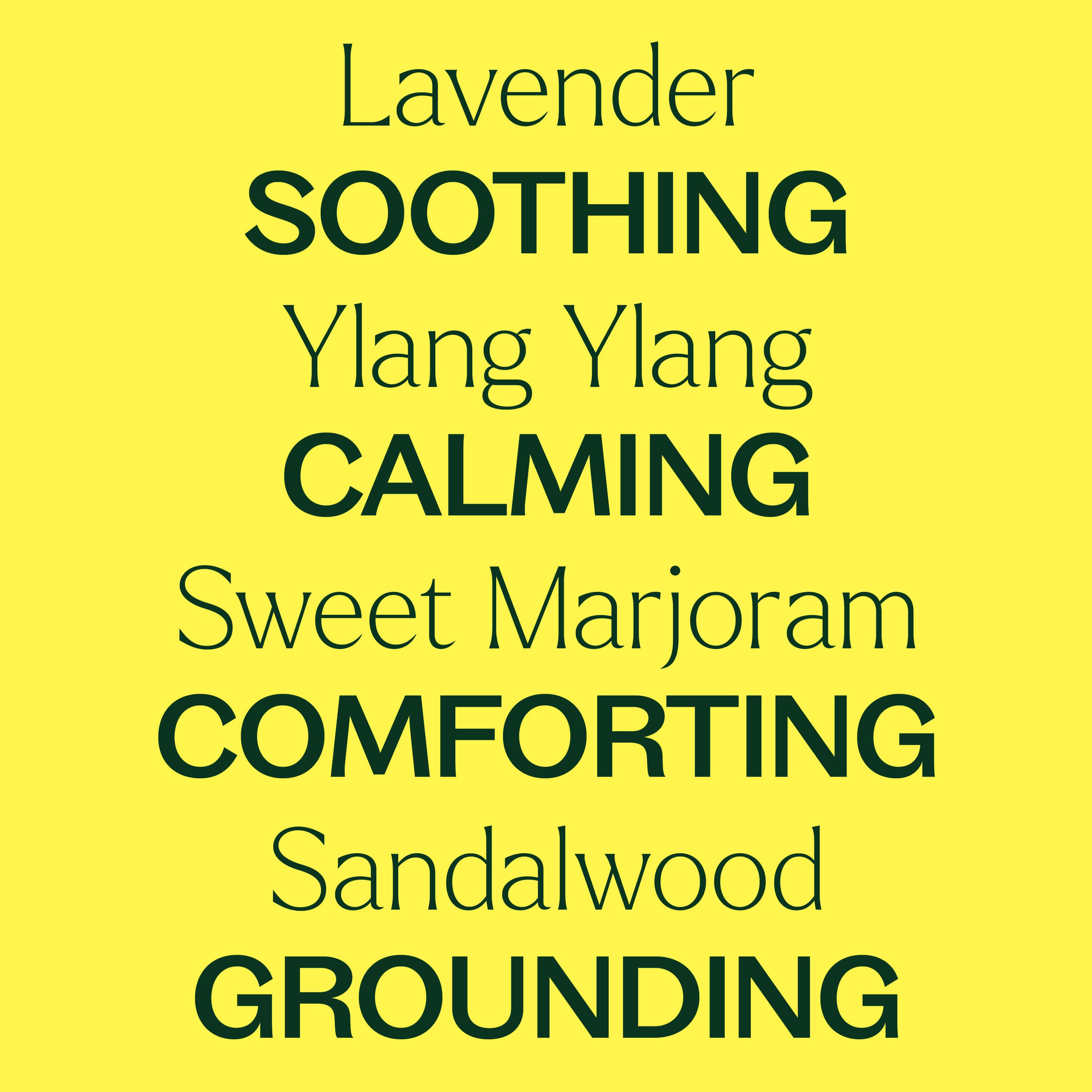 Worry Free Essential Oil Blend – Plant Therapy