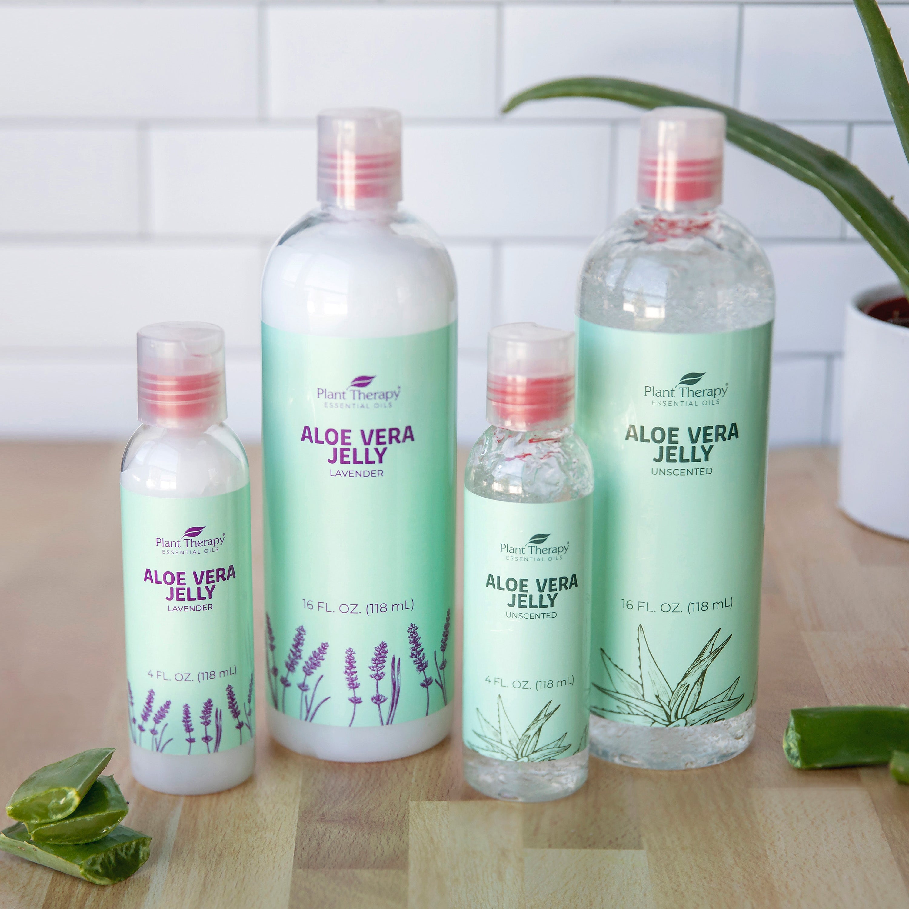 Aloe Vera Jelly Unscented – Plant Therapy