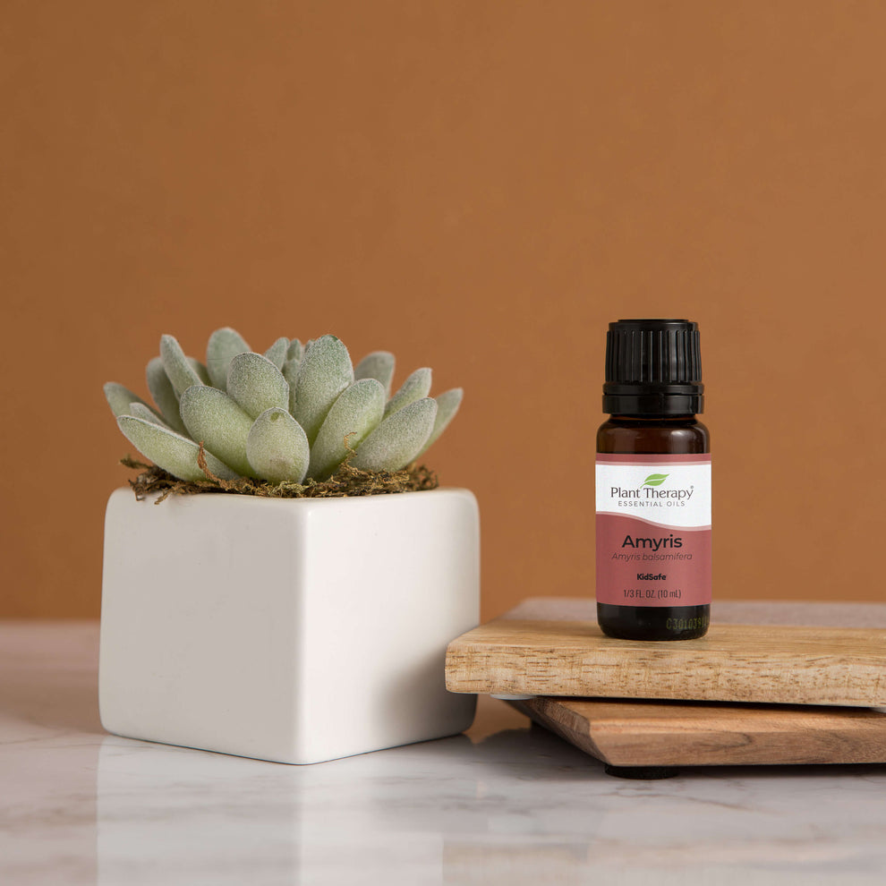 Amyris Essential Oil – Plant Therapy
