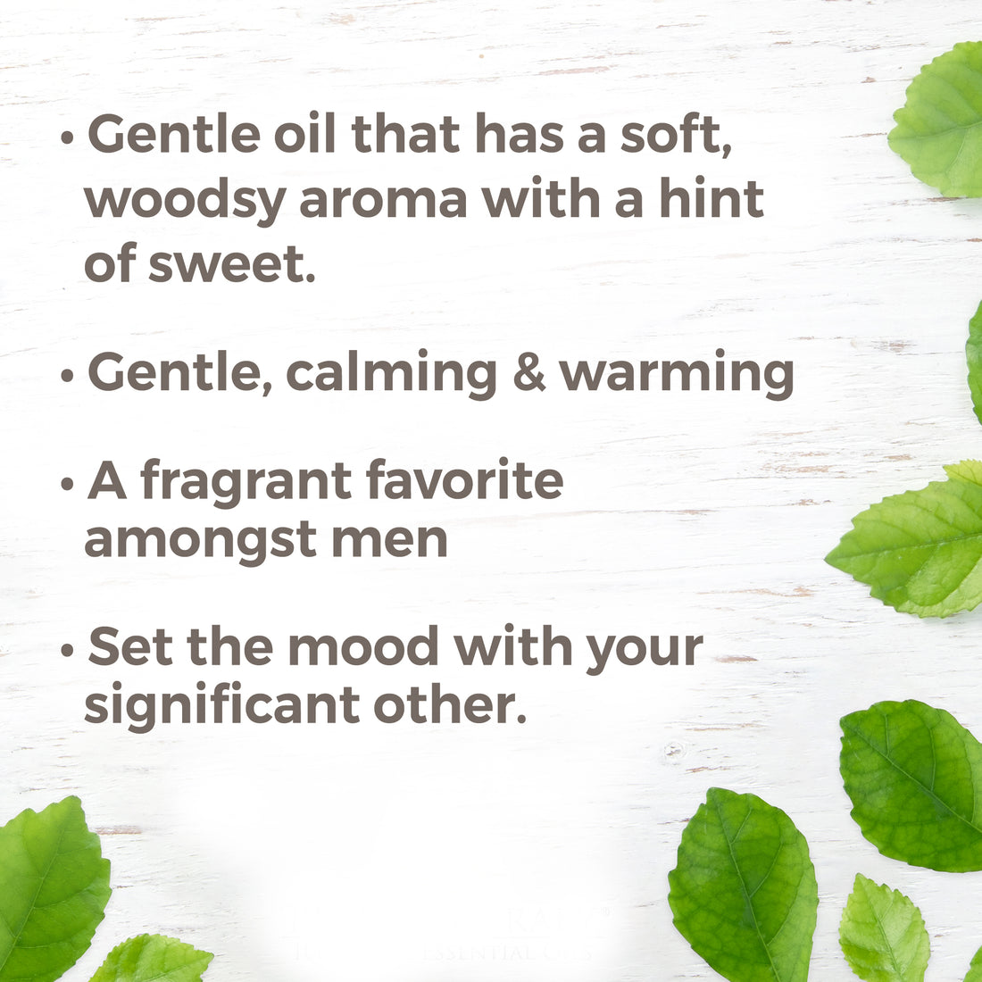 Amyris Essential Oil – Plant Therapy