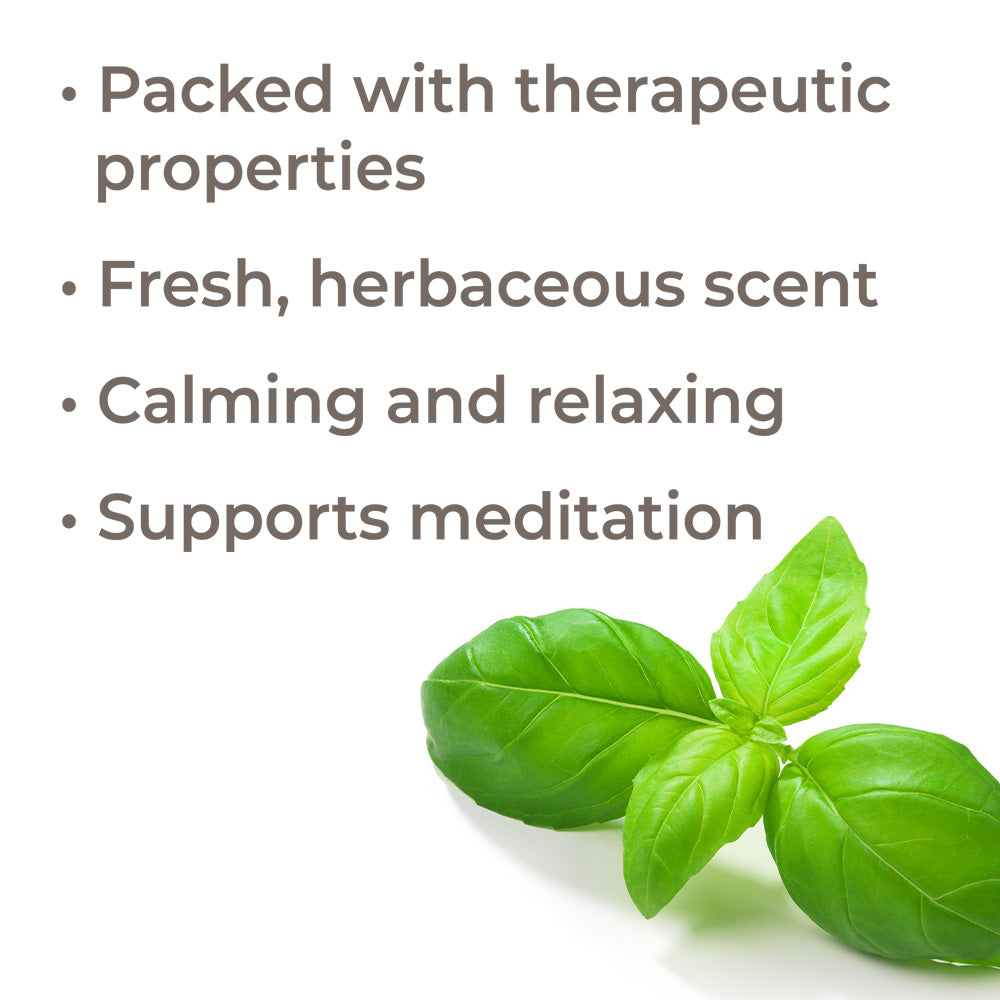 Basil Linalool Essential Oil – Plant Therapy