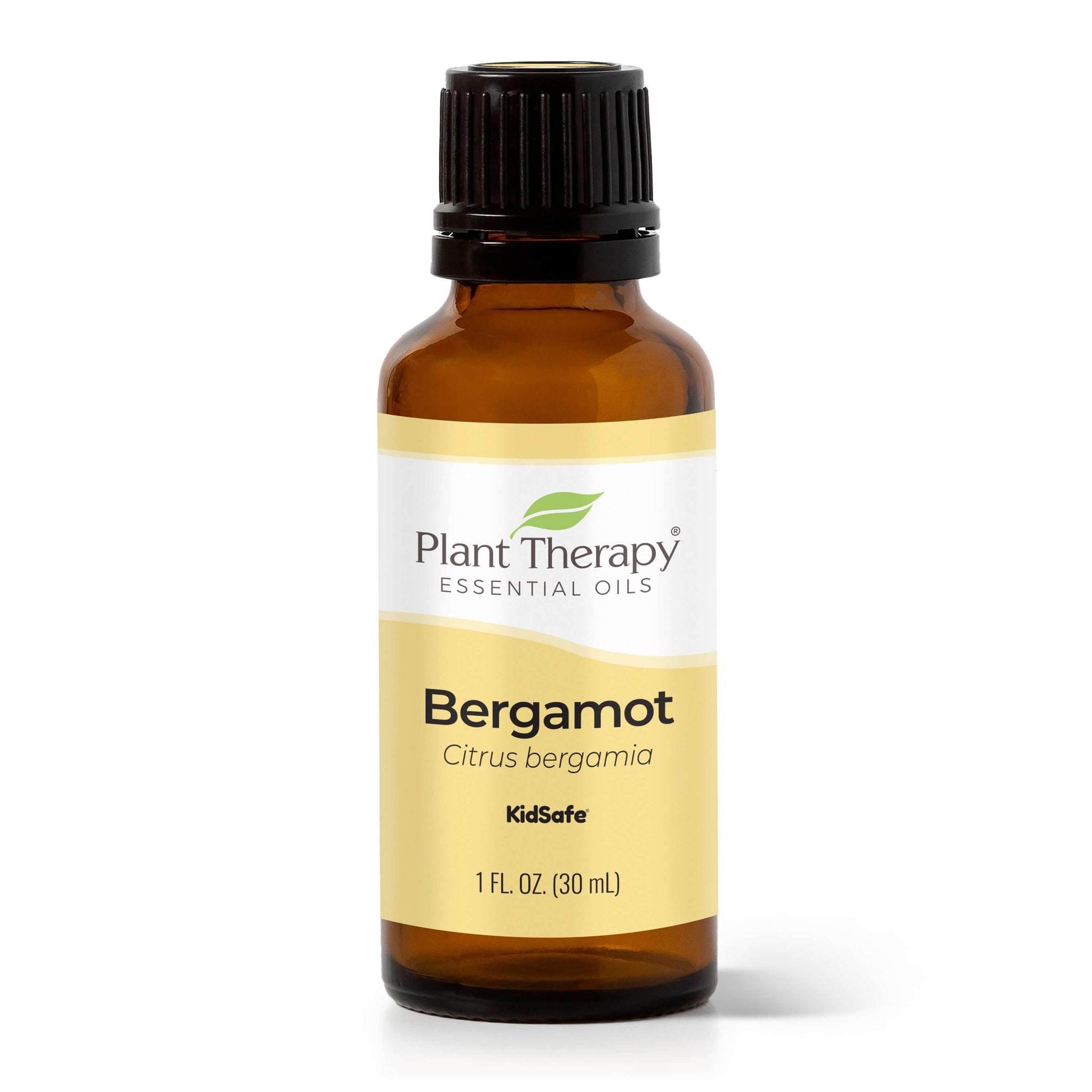 Bergamot Essential Oil | Mood Boosting Bergamot Oil | Plant Therapy