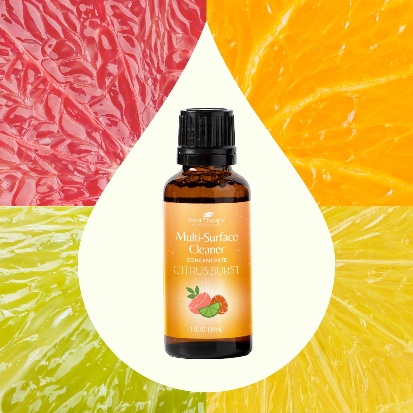 Citrus Burst Multi-Surface Cleaner 2-Pack – Plant Therapy