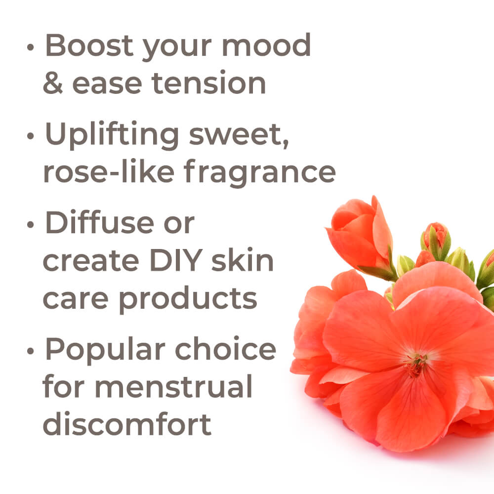 Organic Egyptian Geranium Essential Oil – Plant Therapy