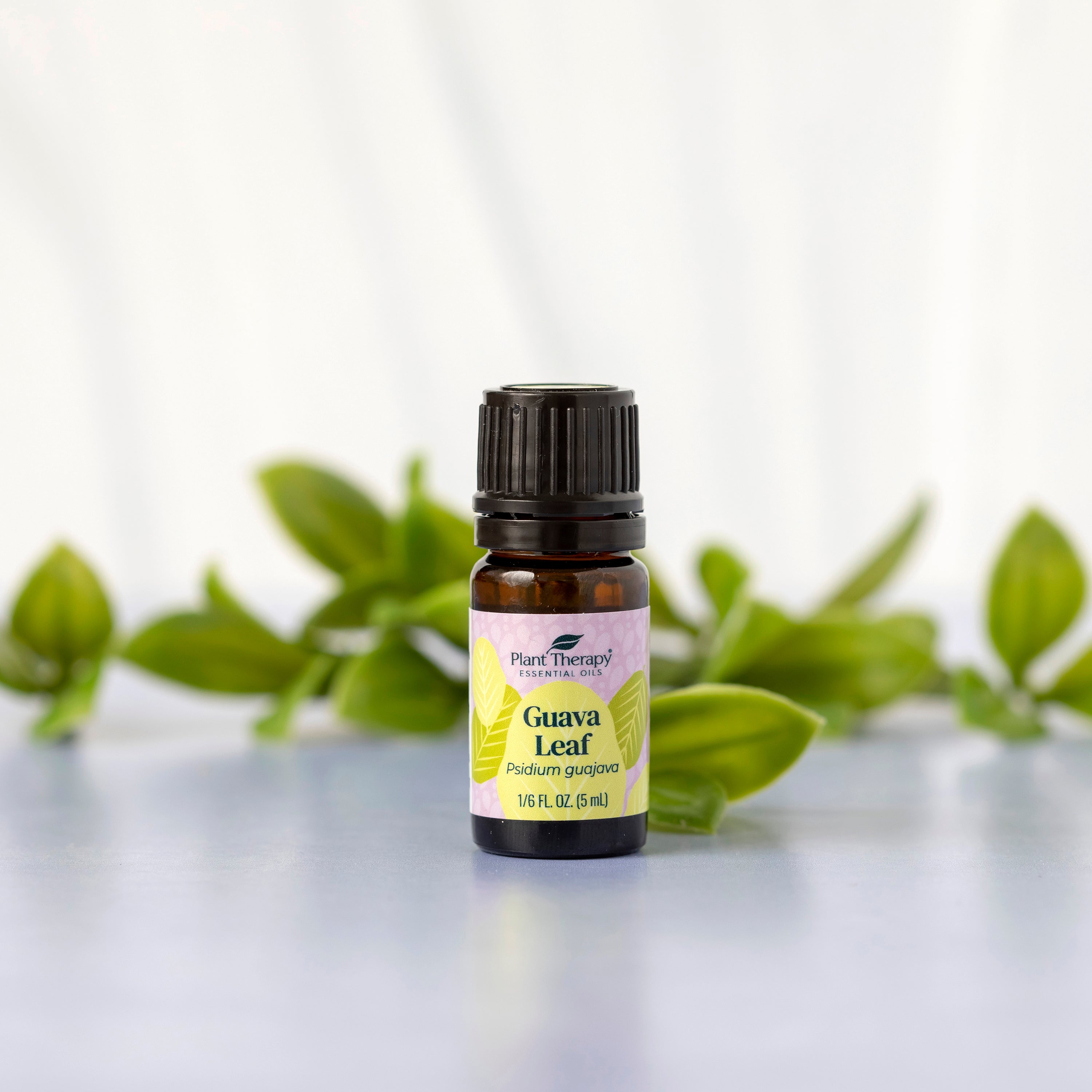 Last Chance Sale at Plant Therapy - Grab Favorites Before They're Gone ...