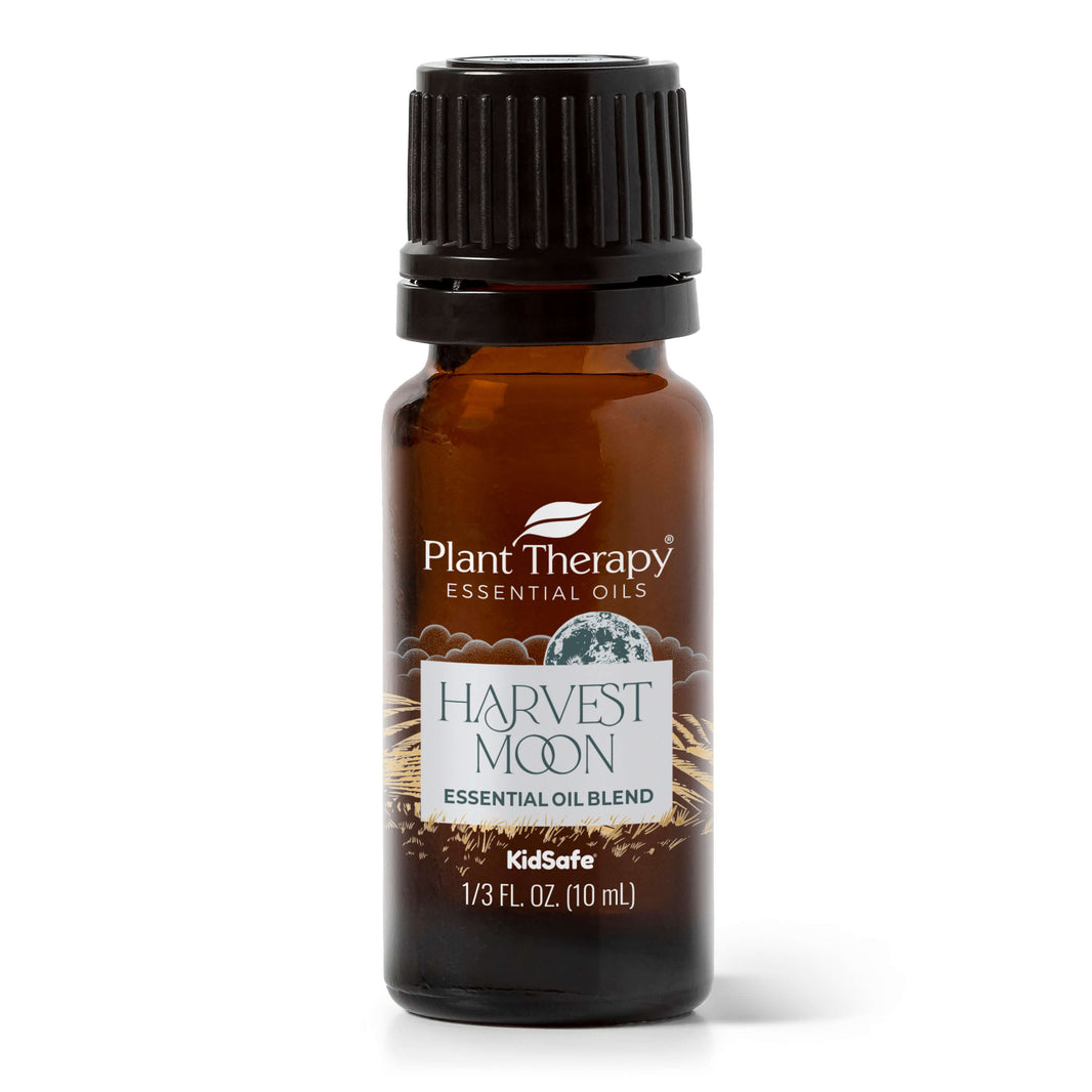 Fall Collection at Plant Therapy - Seasonal Aromas & Autumn-Inspired Care