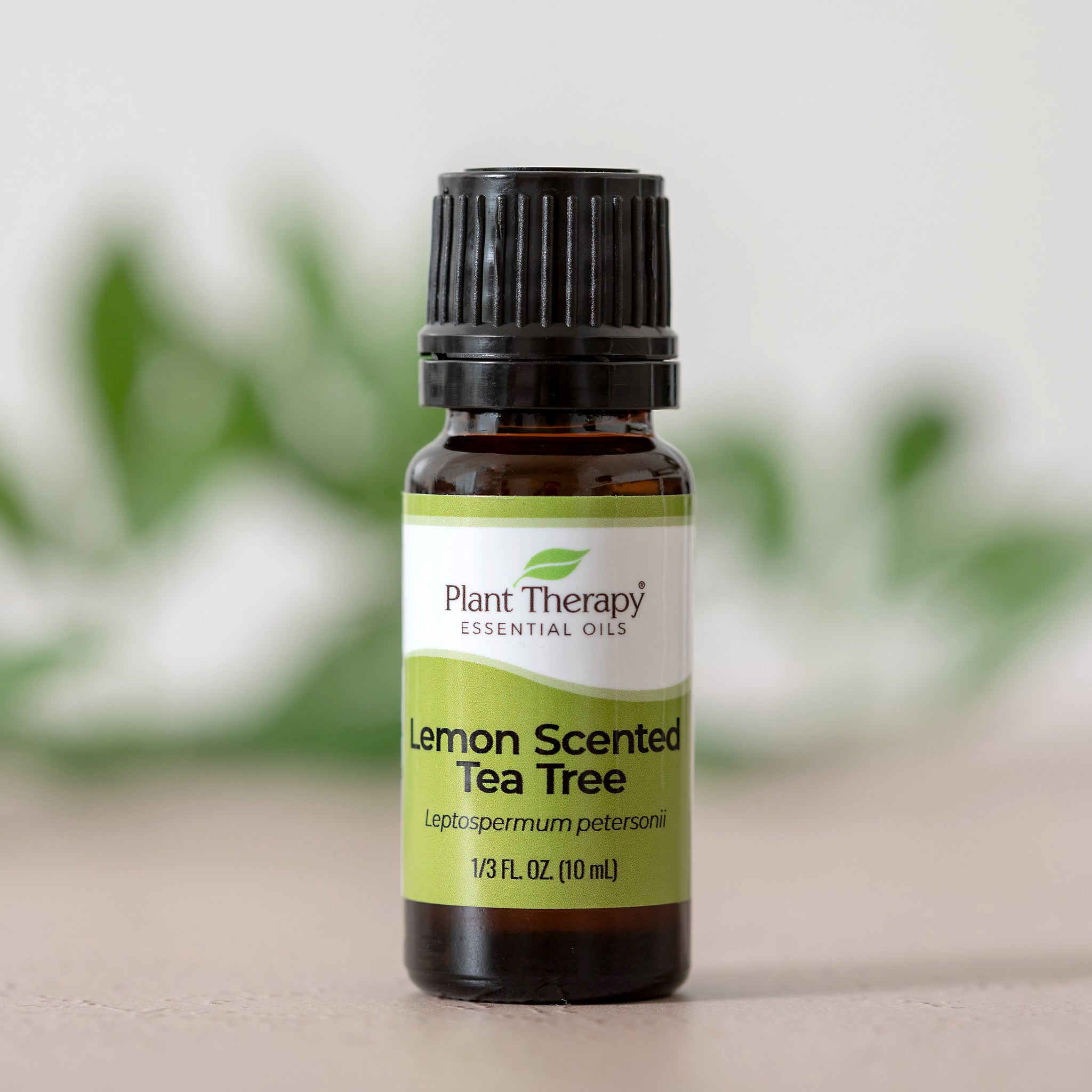 Lemon Scented Tea Tree Essential Oil – Plant Therapy