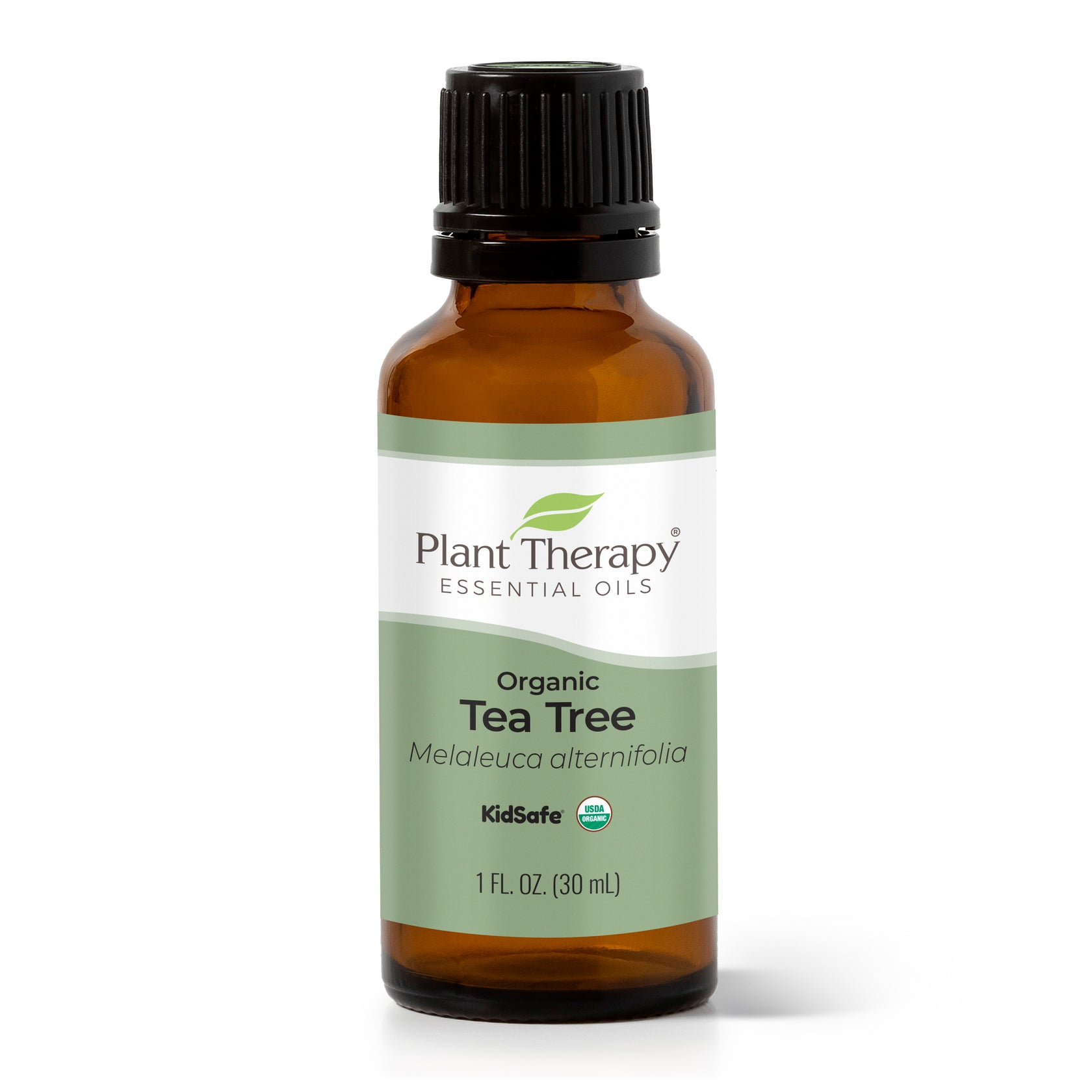 Organic Tea Tree Oil | Organic Tea Tree Essential Oils For Sale | Plant ...