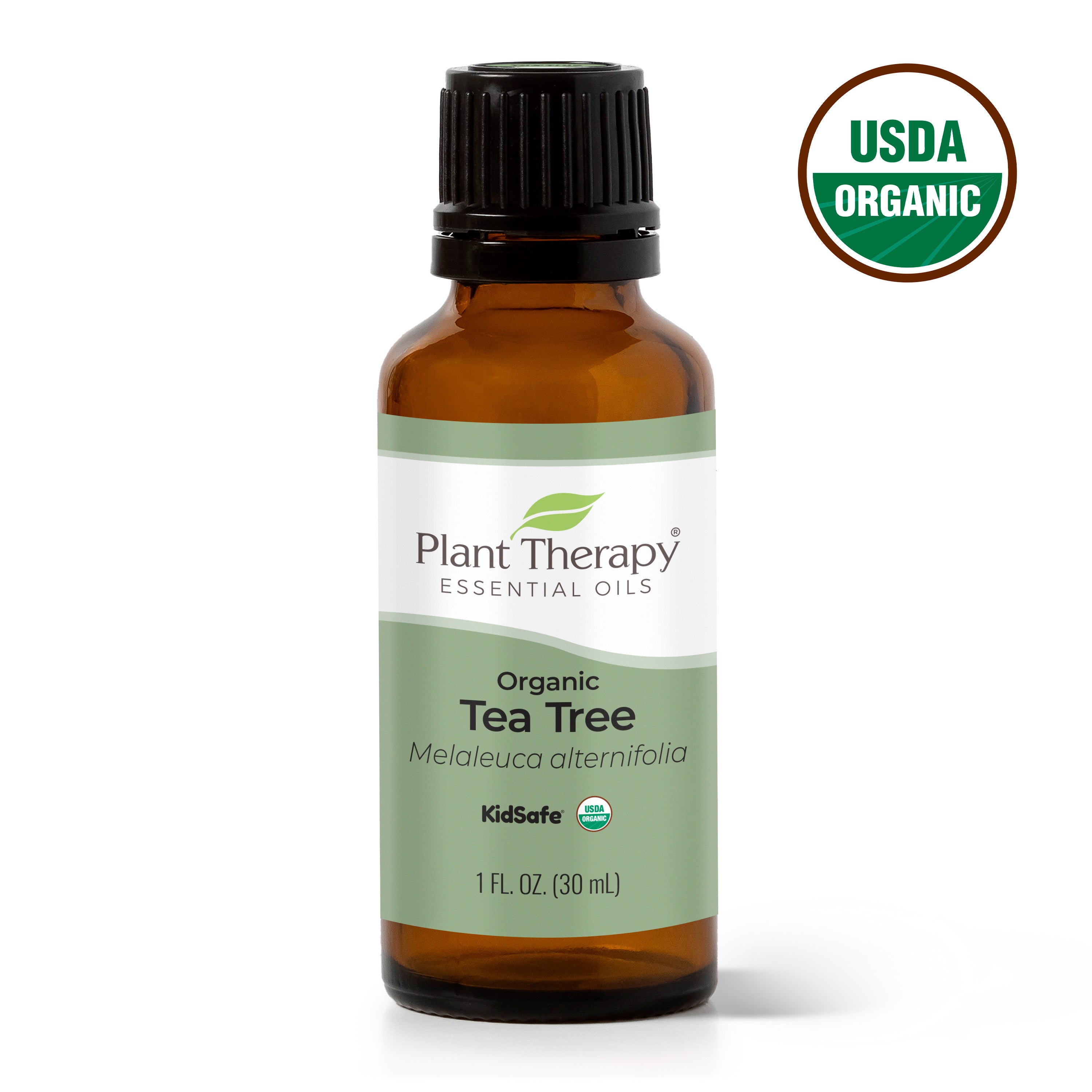 Organic Tea Tree Oil | Organic Tea Tree Essential Oils For Sale | Plant ...