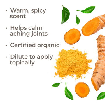 Organic Turmeric CO2 Extract – Plant Therapy