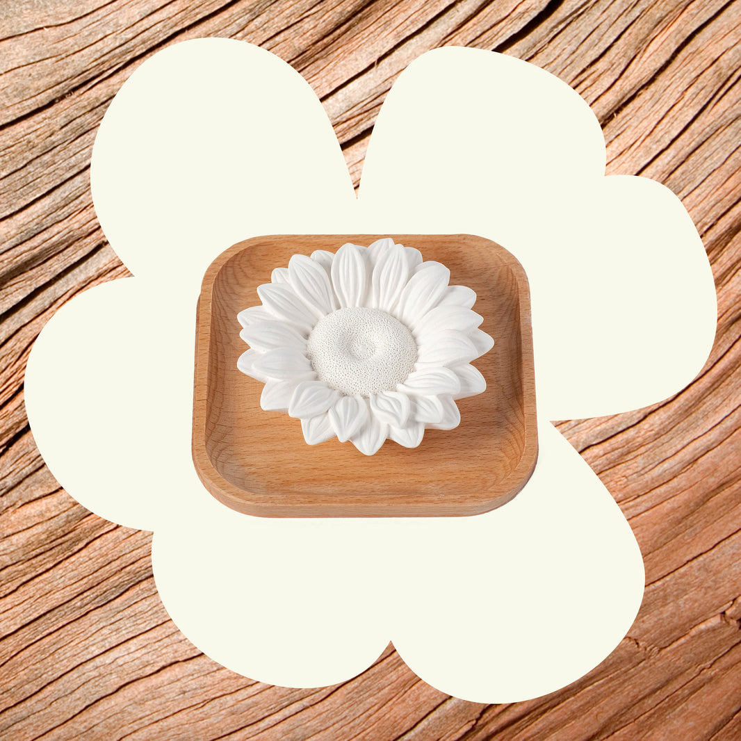 Diffusers For Essential Oils | Ultrasonic & Passive Aromatherapy ...