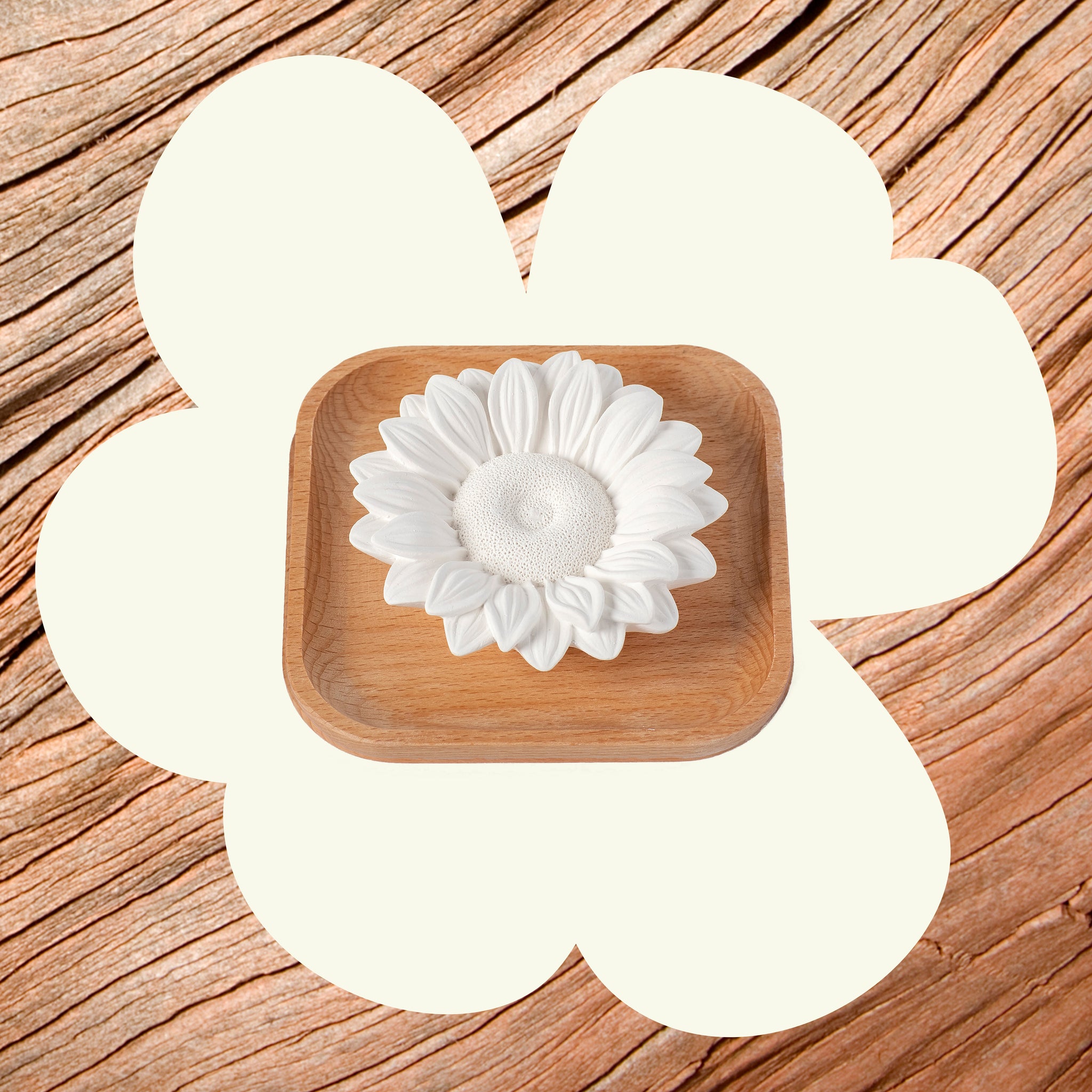 Passive Sunflower Diffuser – Plant Therapy