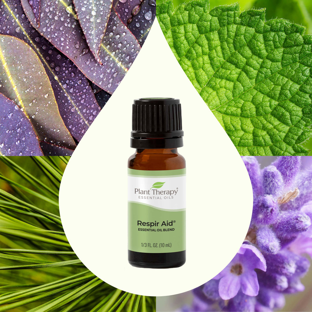 Plant Therapy Essential Oil Blends - Nature's Best Aromatherapy
