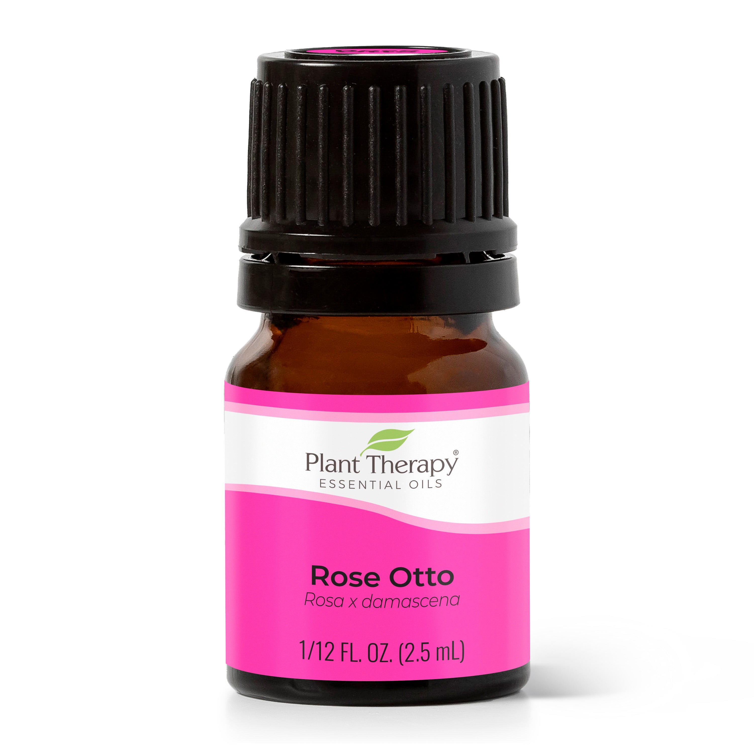 Rose Otto Essential Oil – Plant Therapy