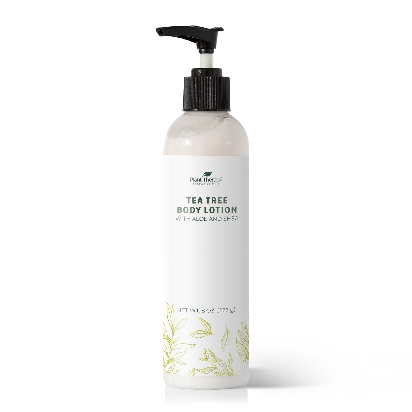 Tea Tree Body Lotion with Aloe and Shea – Plant Therapy
