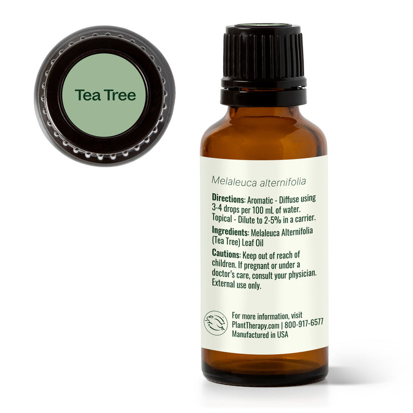 Tea Tree Essential Oil – Plant Therapy