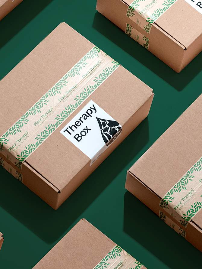 Plant-Based Beauty Products | Natural Living Solutions | Plant Therapy