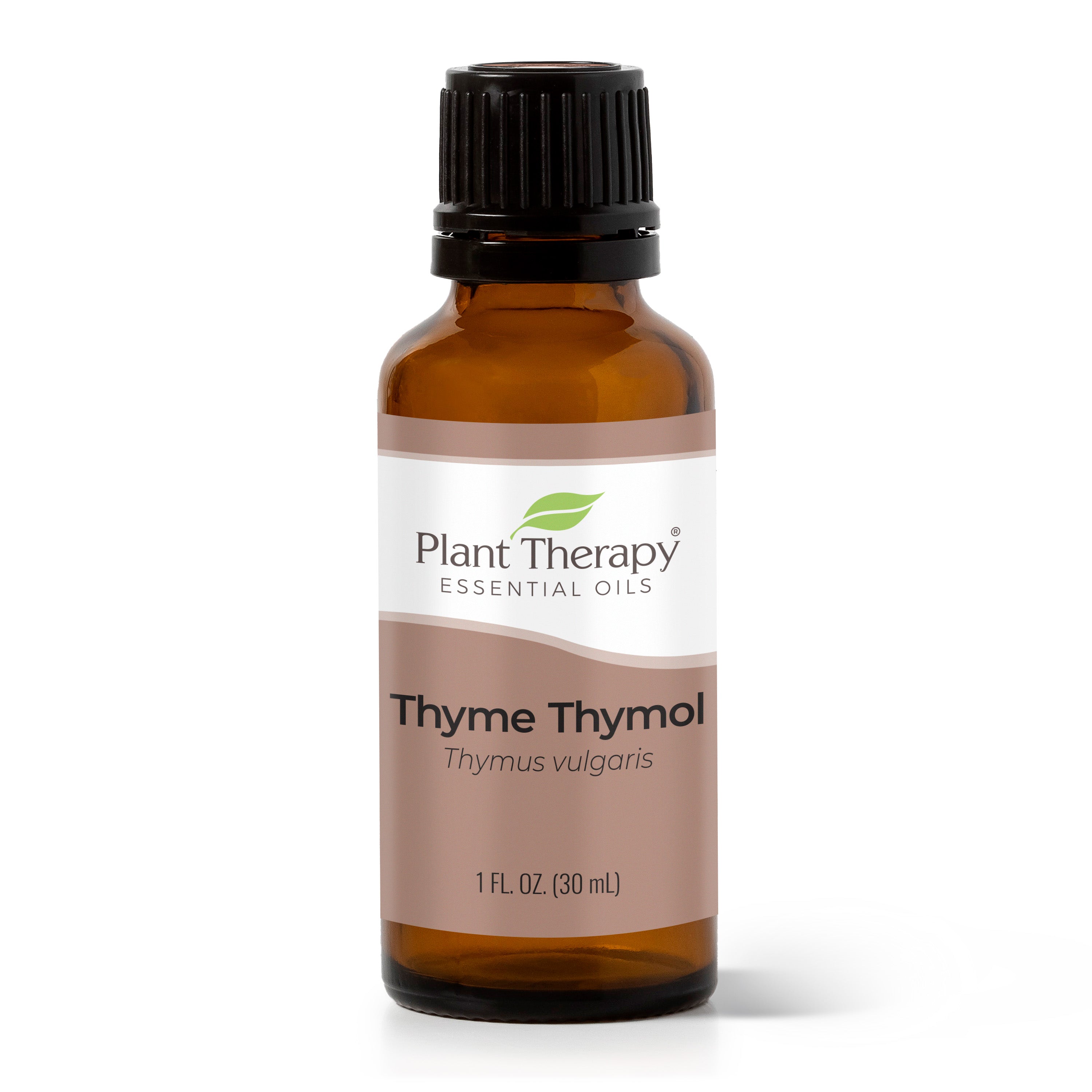 Thyme Thymol Essential Oil – Plant Therapy