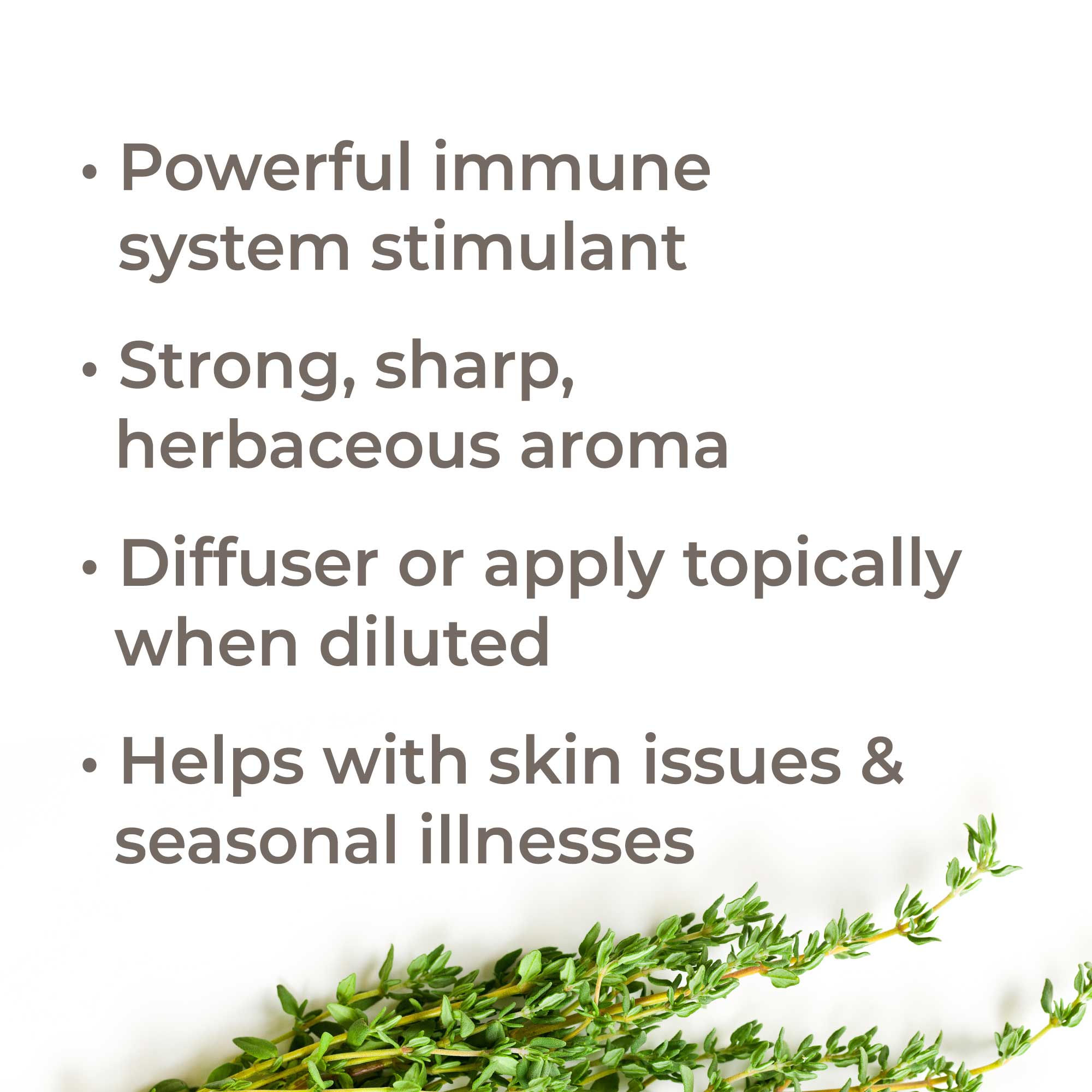 Thyme Thymol Essential Oil – Plant Therapy