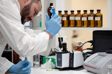 Black Pepper Essential Oil – Plant Therapy