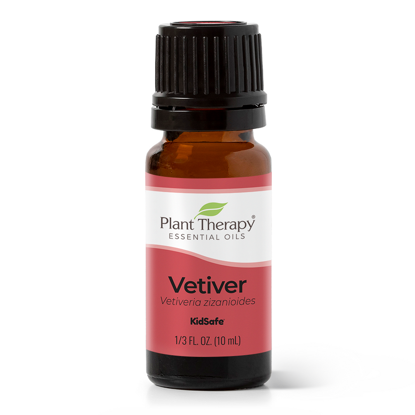 Vetiver Essential Oil – Plant Therapy