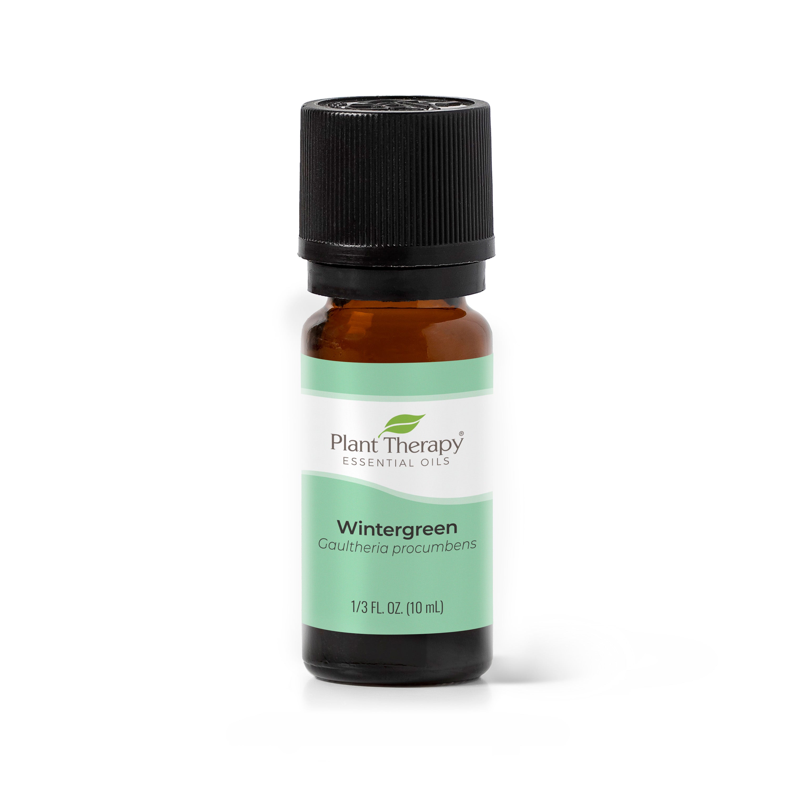 Wintergreen Essential Oil – Plant Therapy