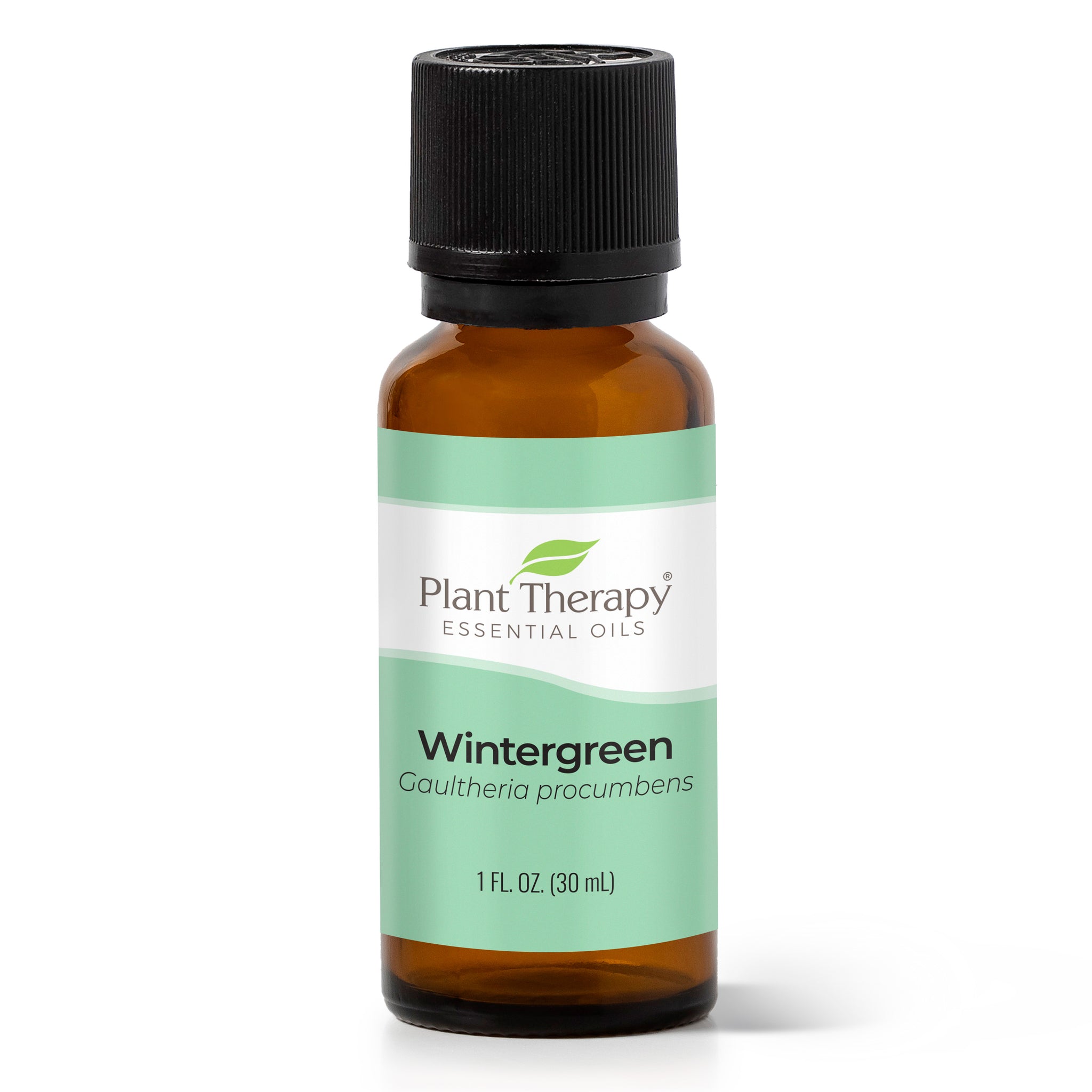 Wintergreen Essential Oil – Plant Therapy