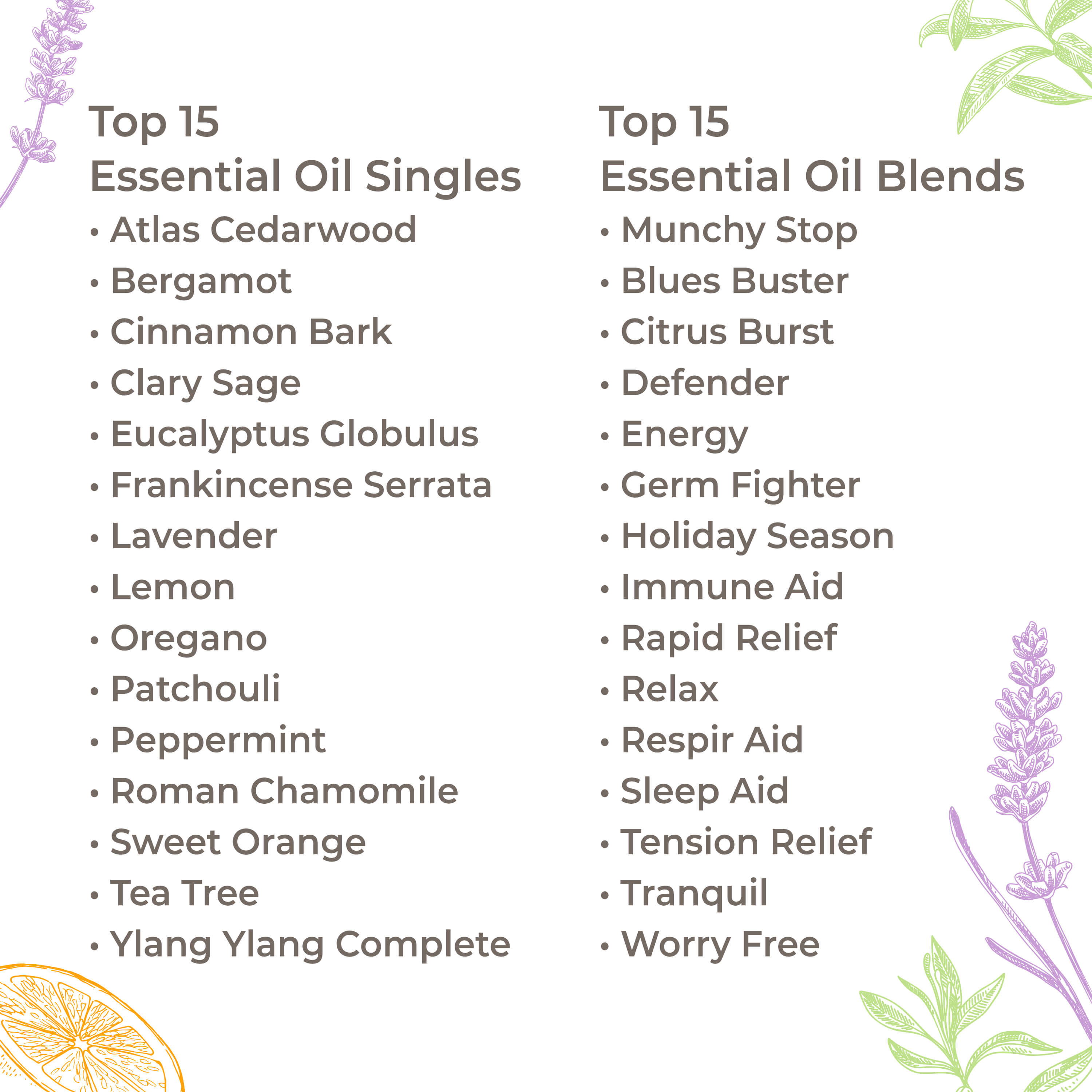15 & 15 Essential Oil Set with Carrying Case – Plant Therapy