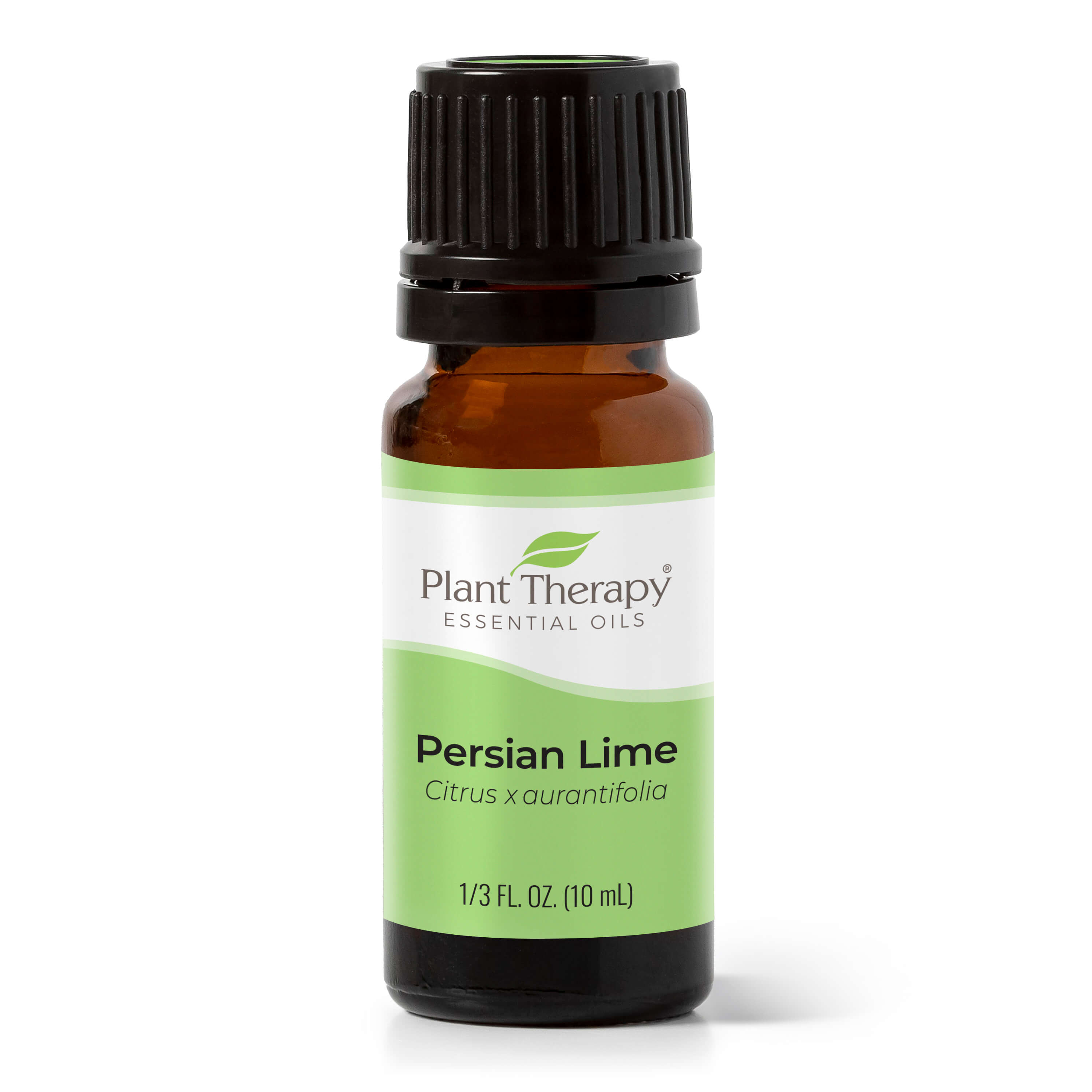 Persian Lime Essential Oil – Plant Therapy