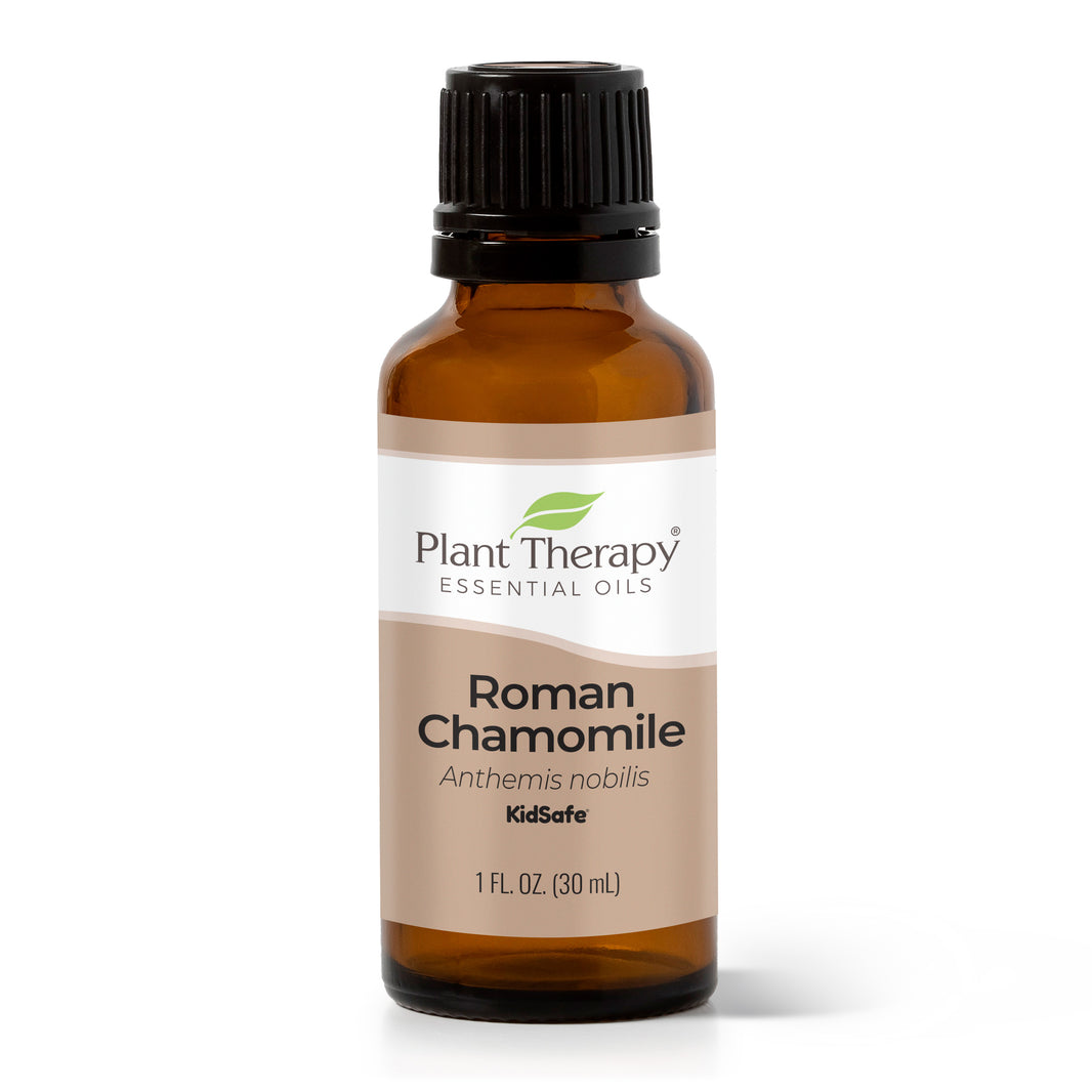 Roman Chamomile Essential Oil – Plant Therapy