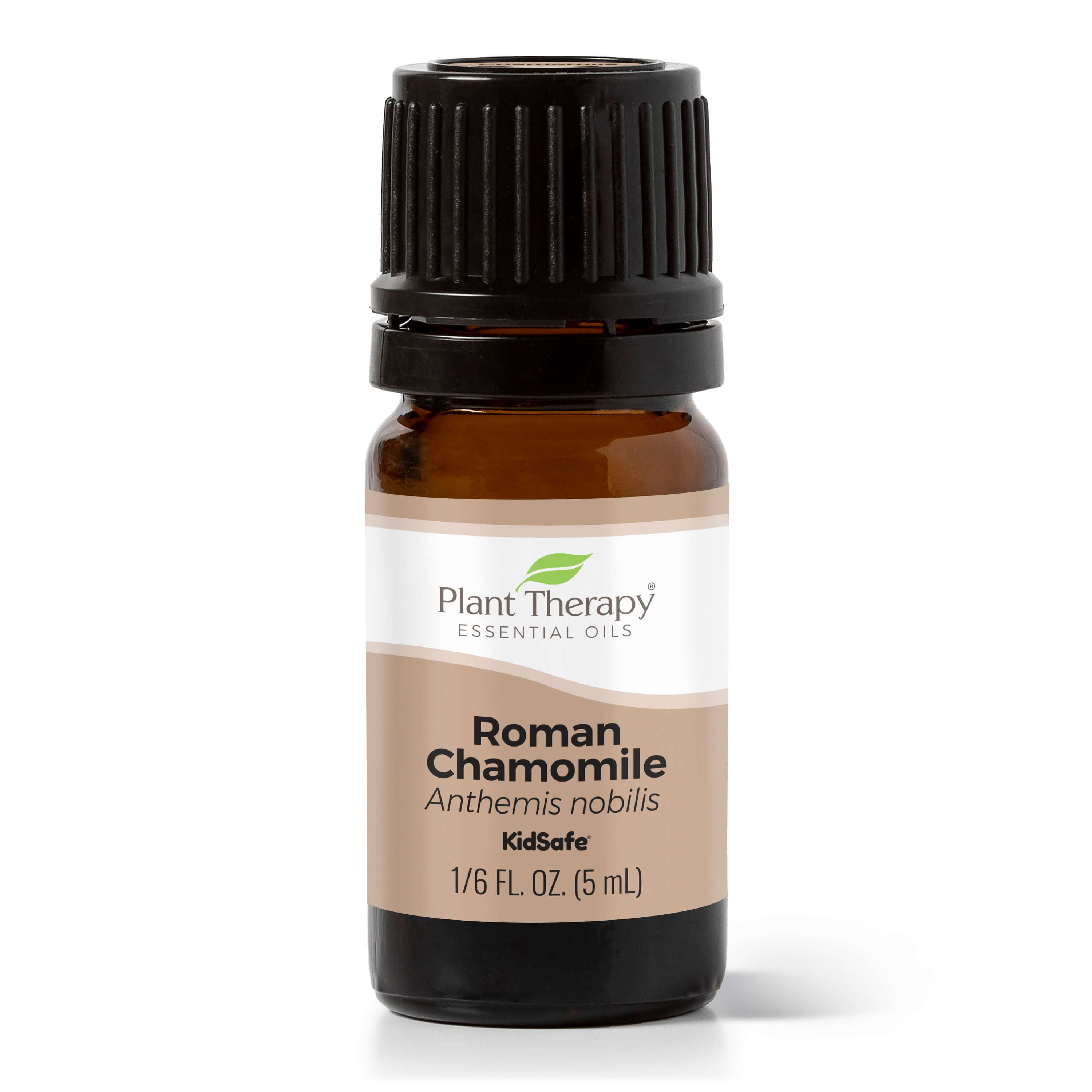 Roman Chamomile Essential Oil – Plant Therapy