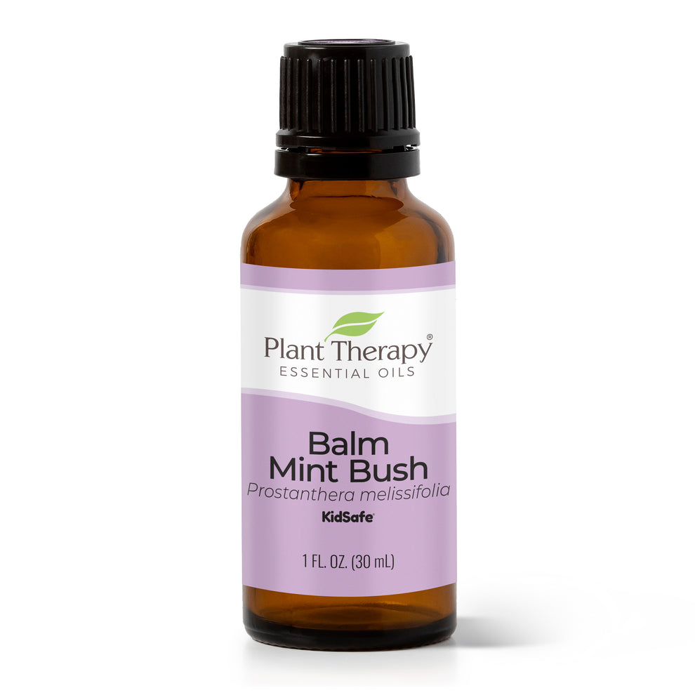 Balm Mint Bush Essential Oil – Plant Therapy