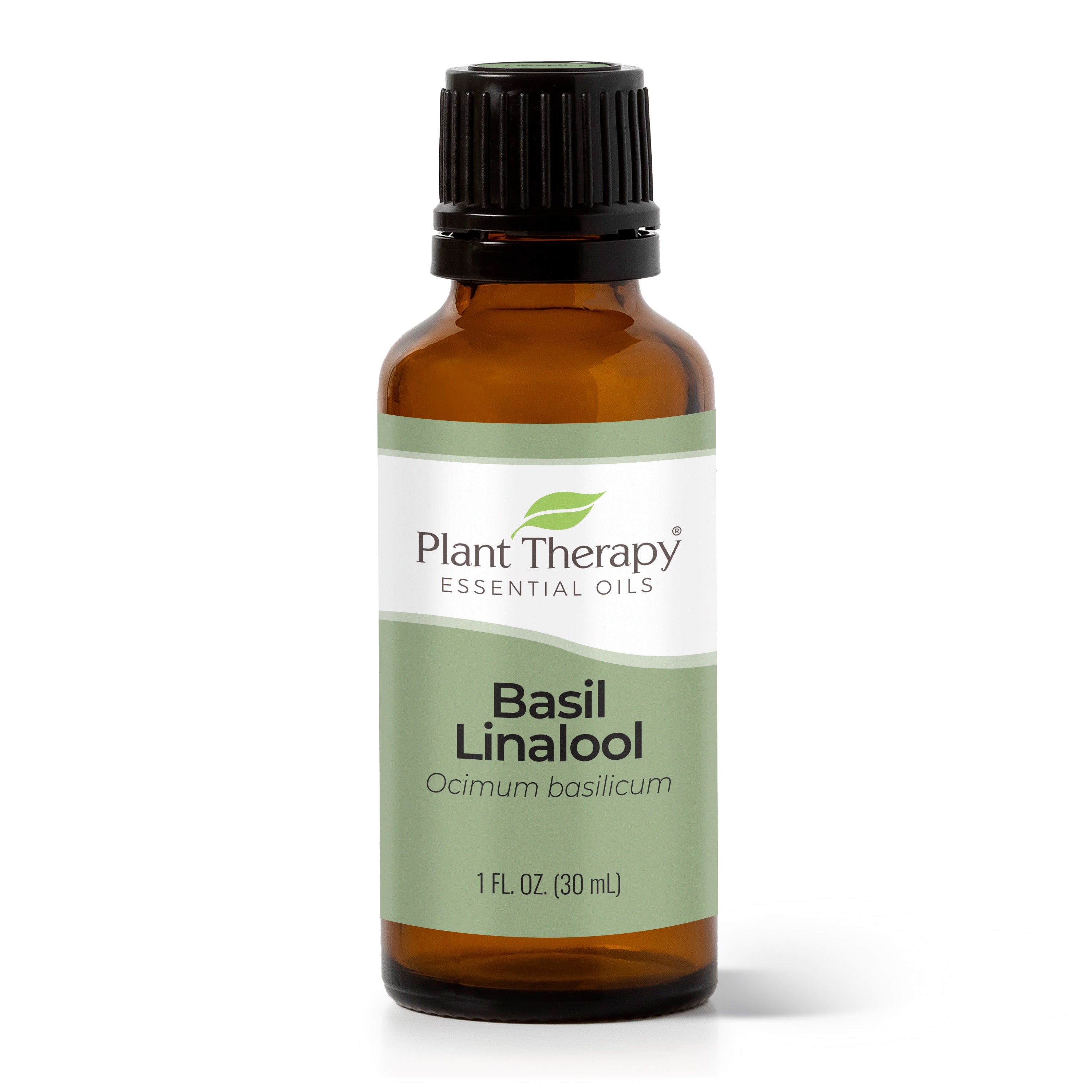Basil Linalool Essential Oil – Plant Therapy