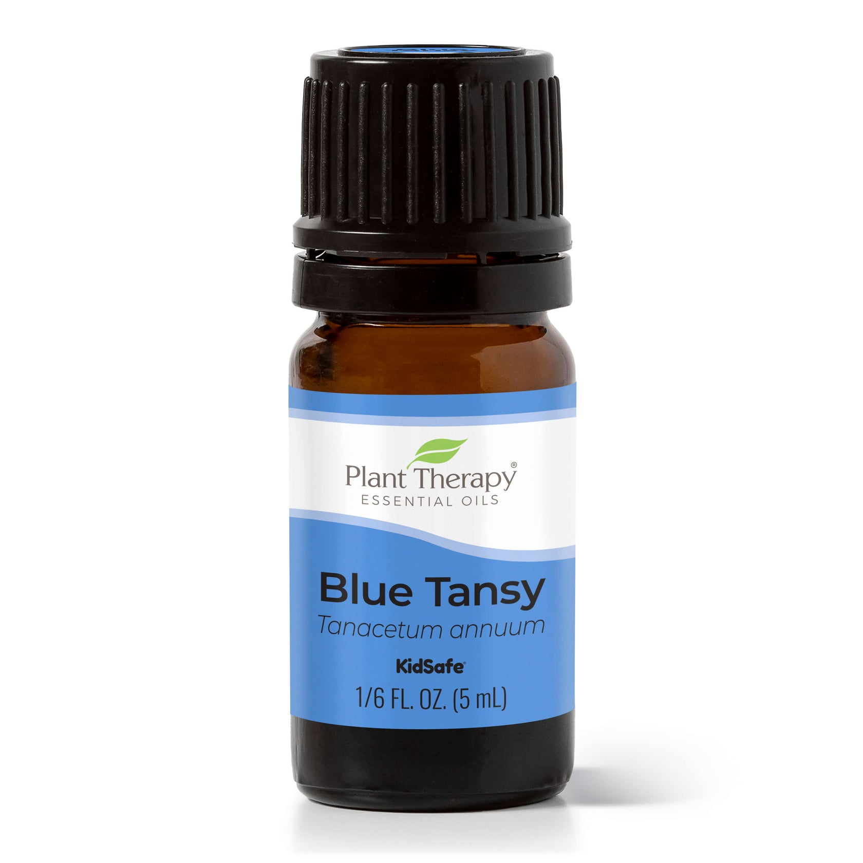 Blue Tansy Essential Oil – Plant Therapy