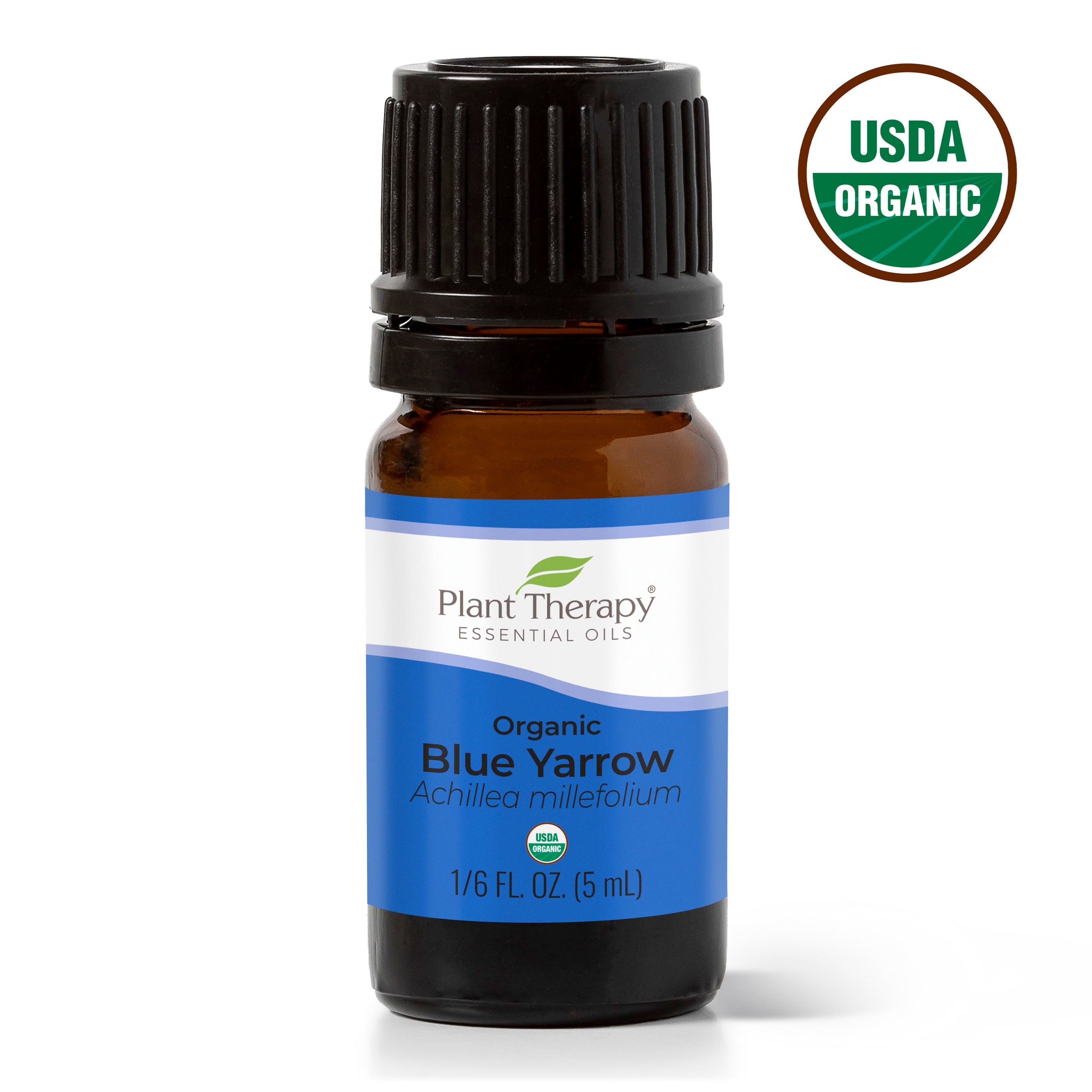 Organic Blue Yarrow Essential Oil – Plant Therapy